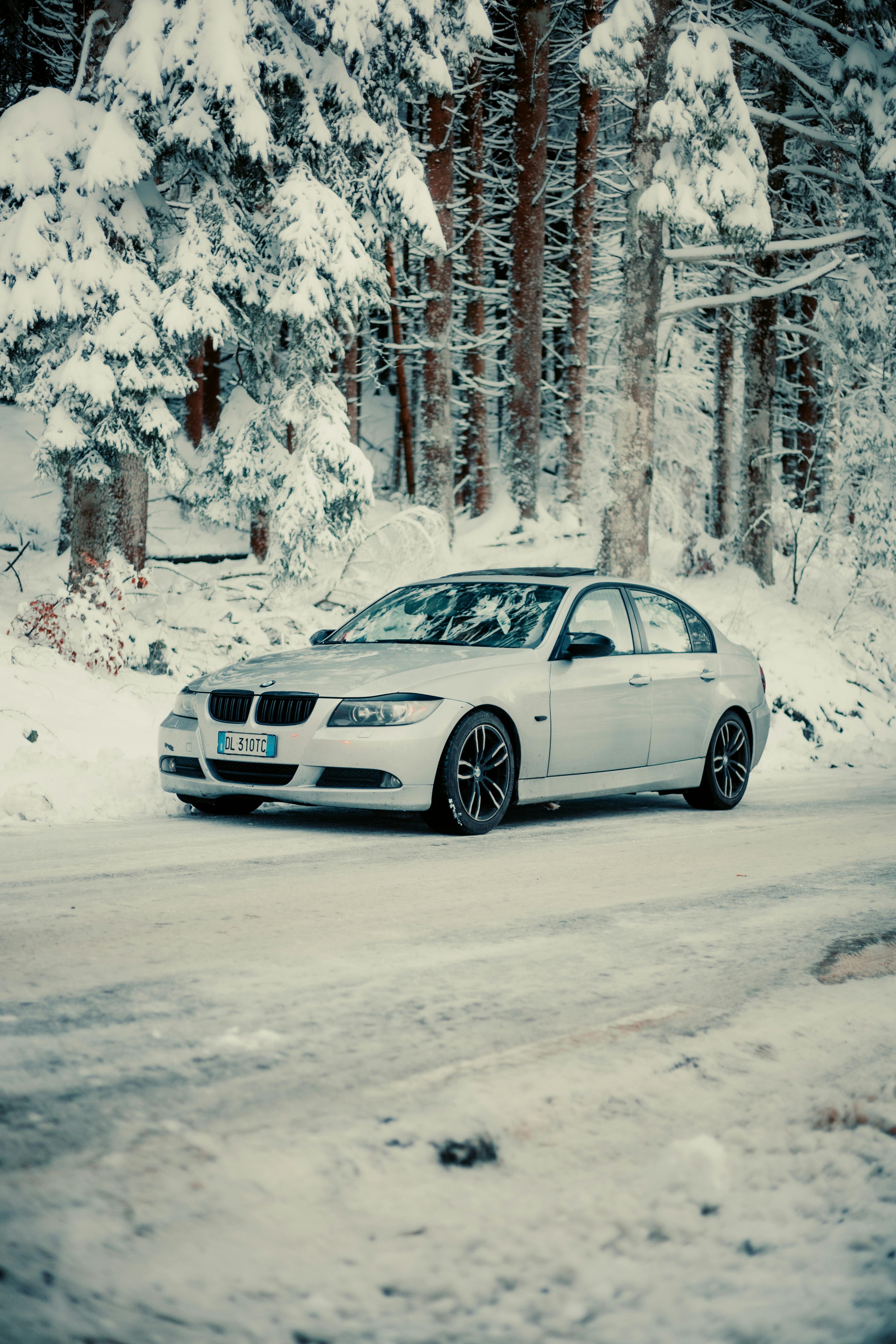 Clean Pfp Photos, Download The BEST Free Clean Pfp Stock Photos & HD Images