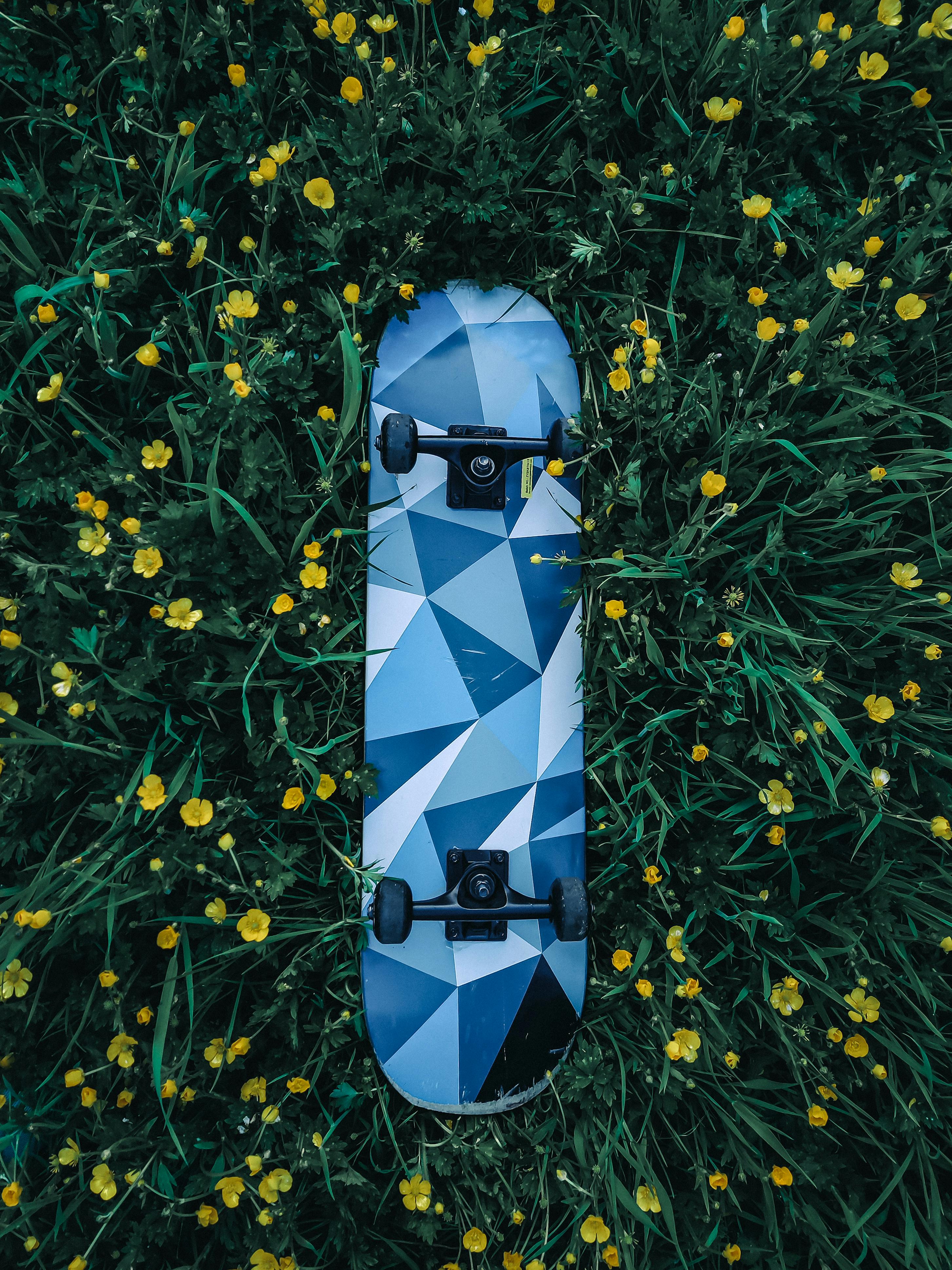 Free+Manyvids+Account Photos, Download The BEST Free Free+Manyvids ...