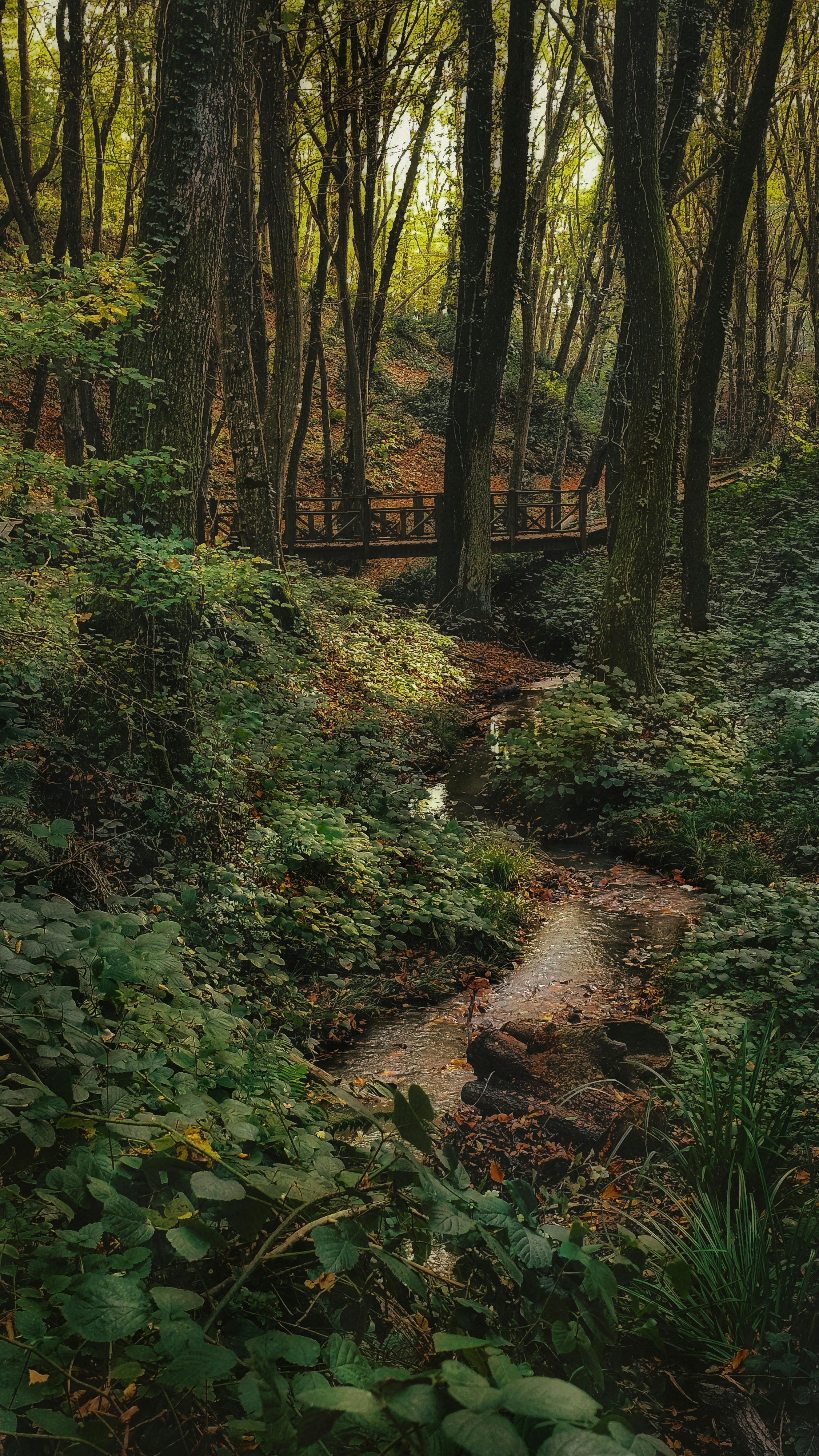 52.458+ Fotos y Imágenes de Gerflor+türkiye Gratis · Banco de Fotos Gratis