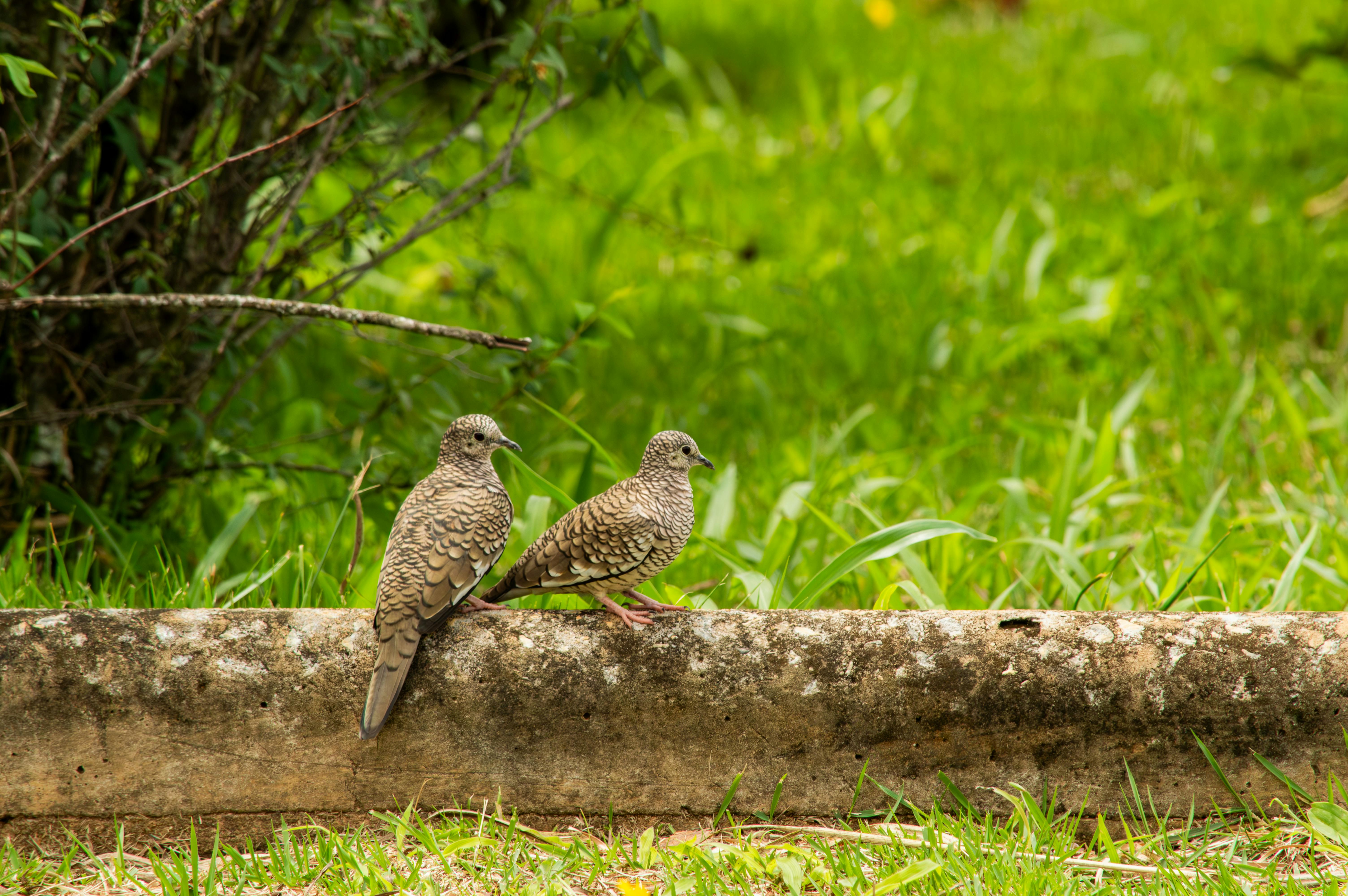 Log+In+Postables Photos, Download The BEST Free Log+In+Postables Stock ...