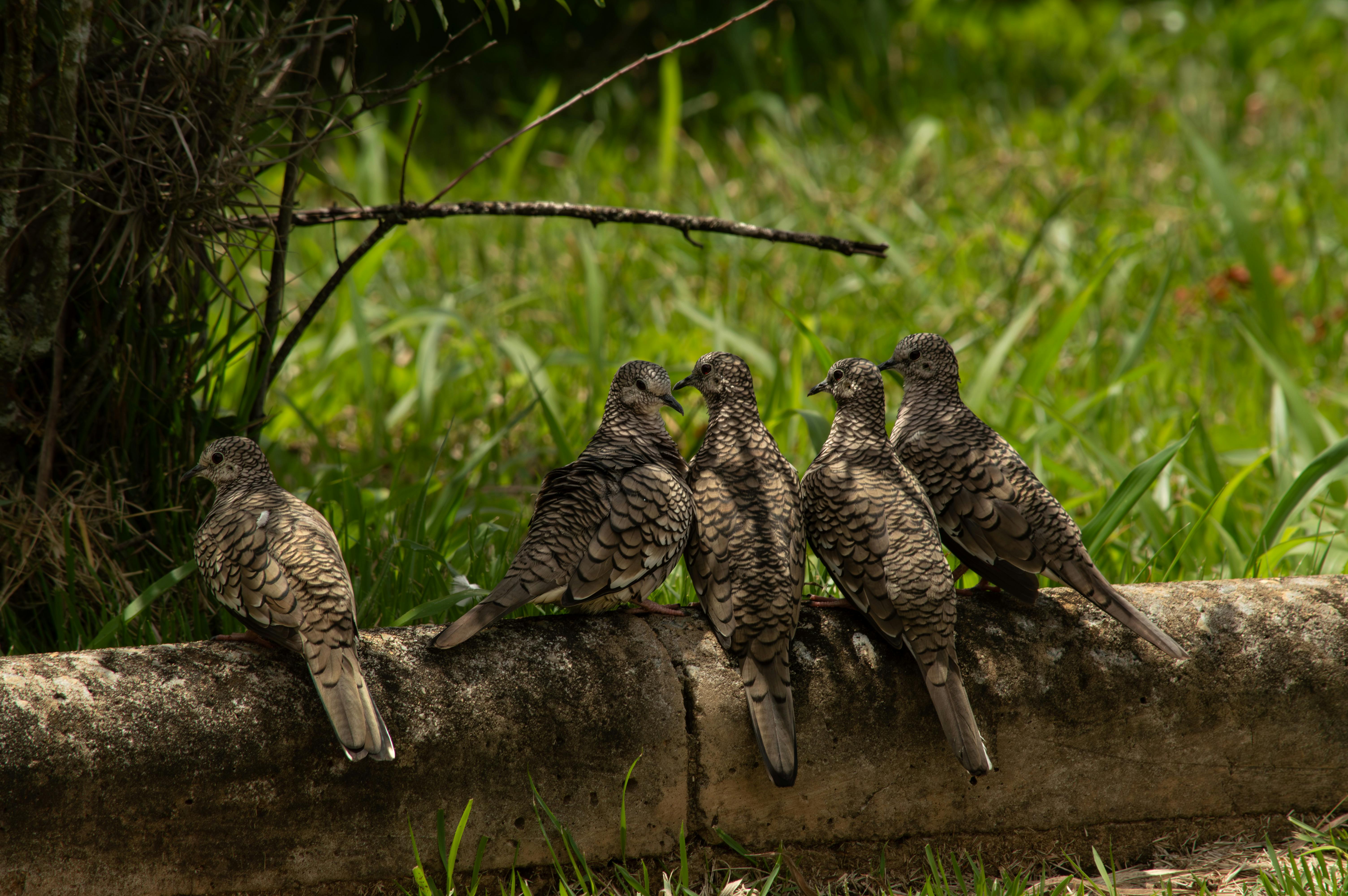 Log+In+Postables Photos, Download The BEST Free Log+In+Postables Stock ...