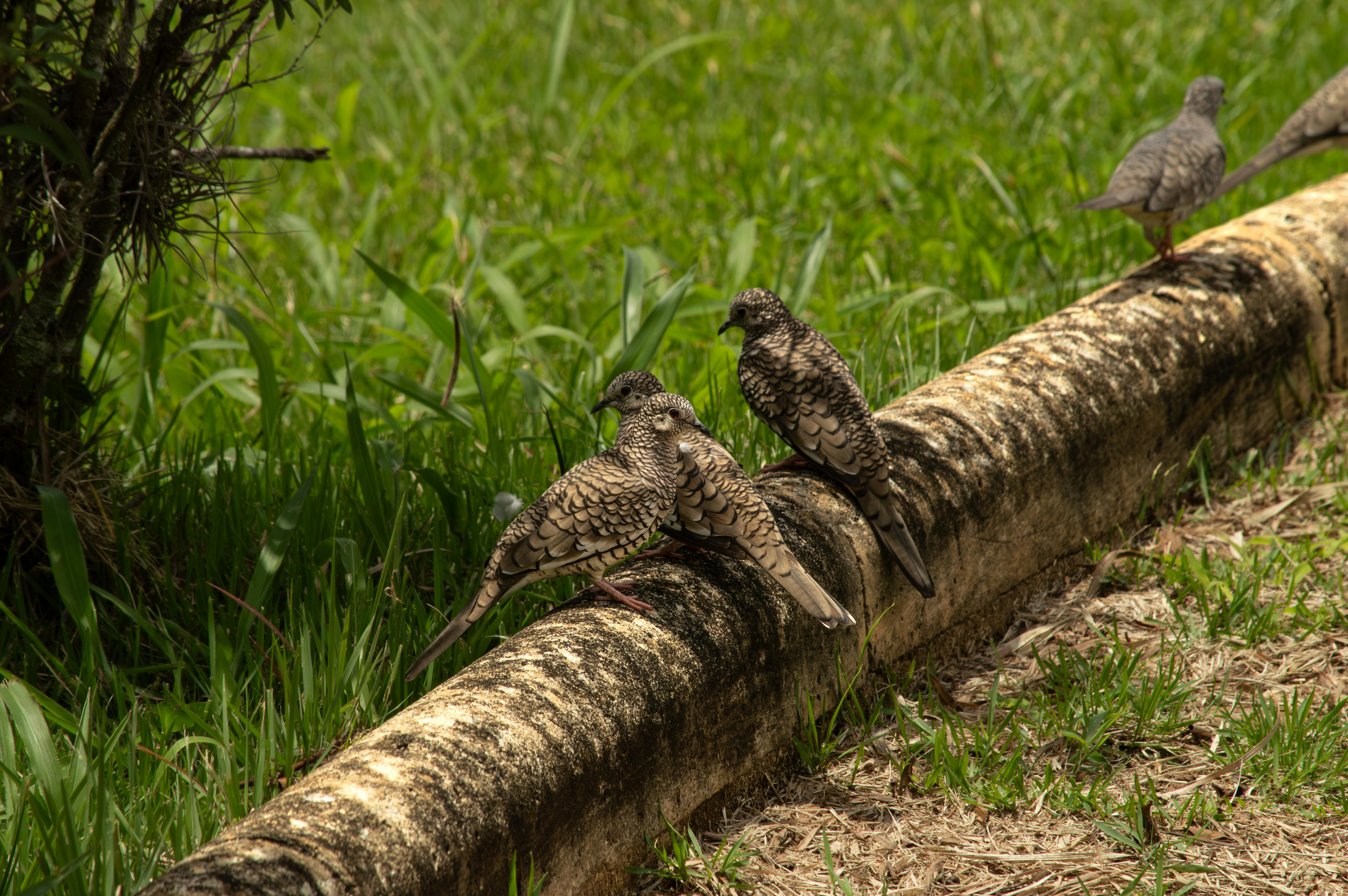 98.742+ Fotos y Imágenes de National+border Gratis · Banco de Fotos Gratis