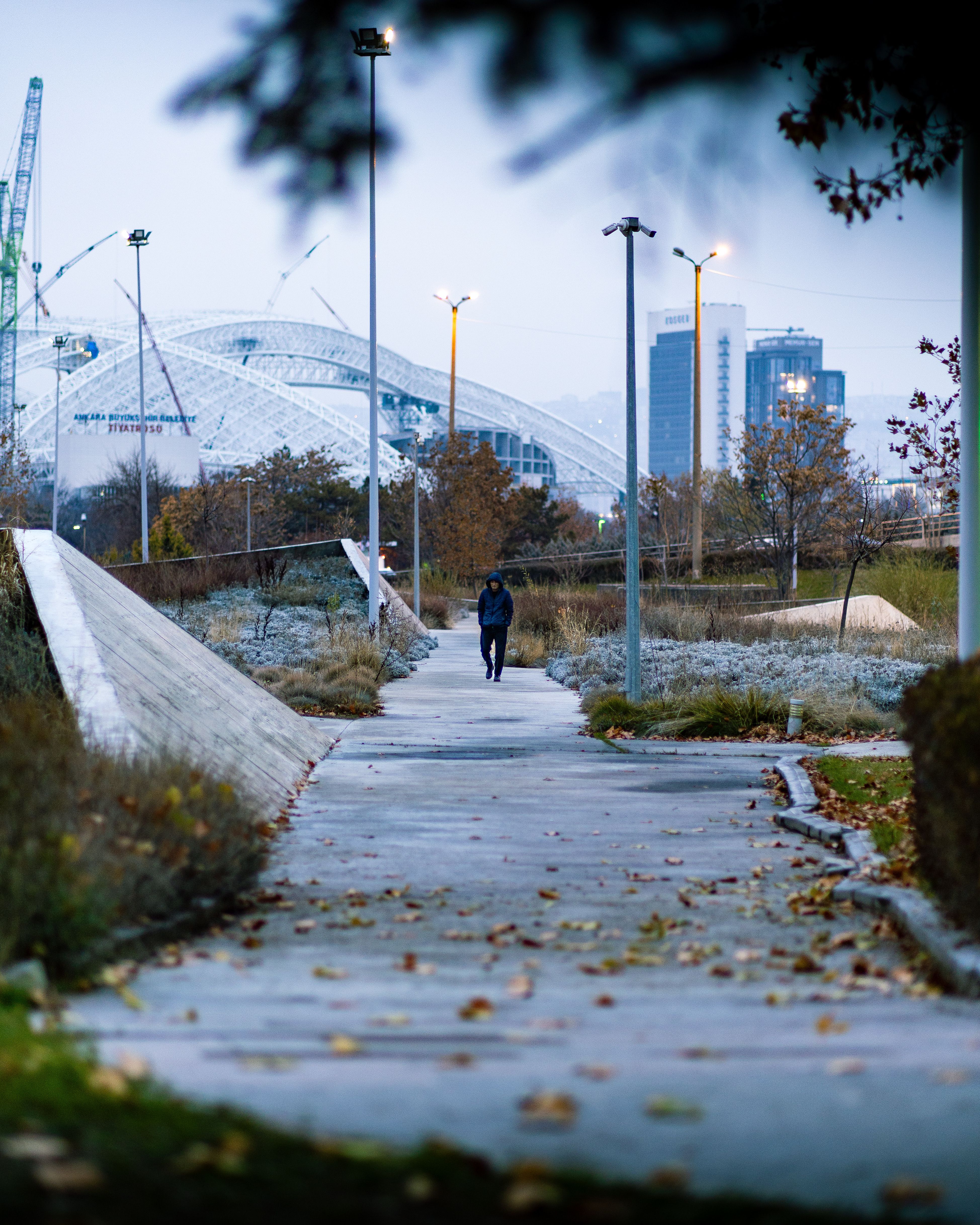 Urban Pathway with Modern Architecture Backdrop · Free Stock Photo