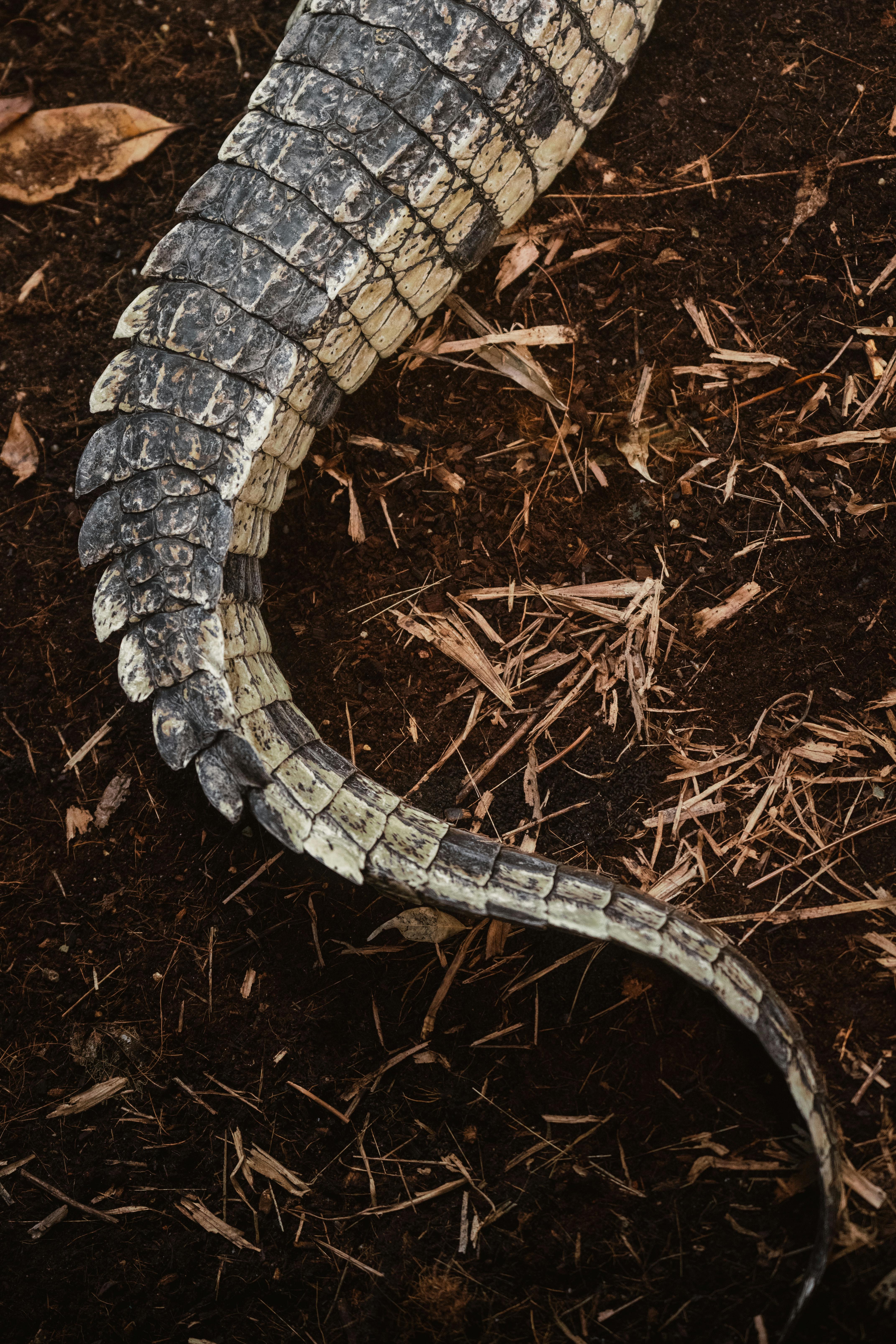 Find+Pictures+Macbook+Pro Photos, Download The BEST Free Find+Pictures ...