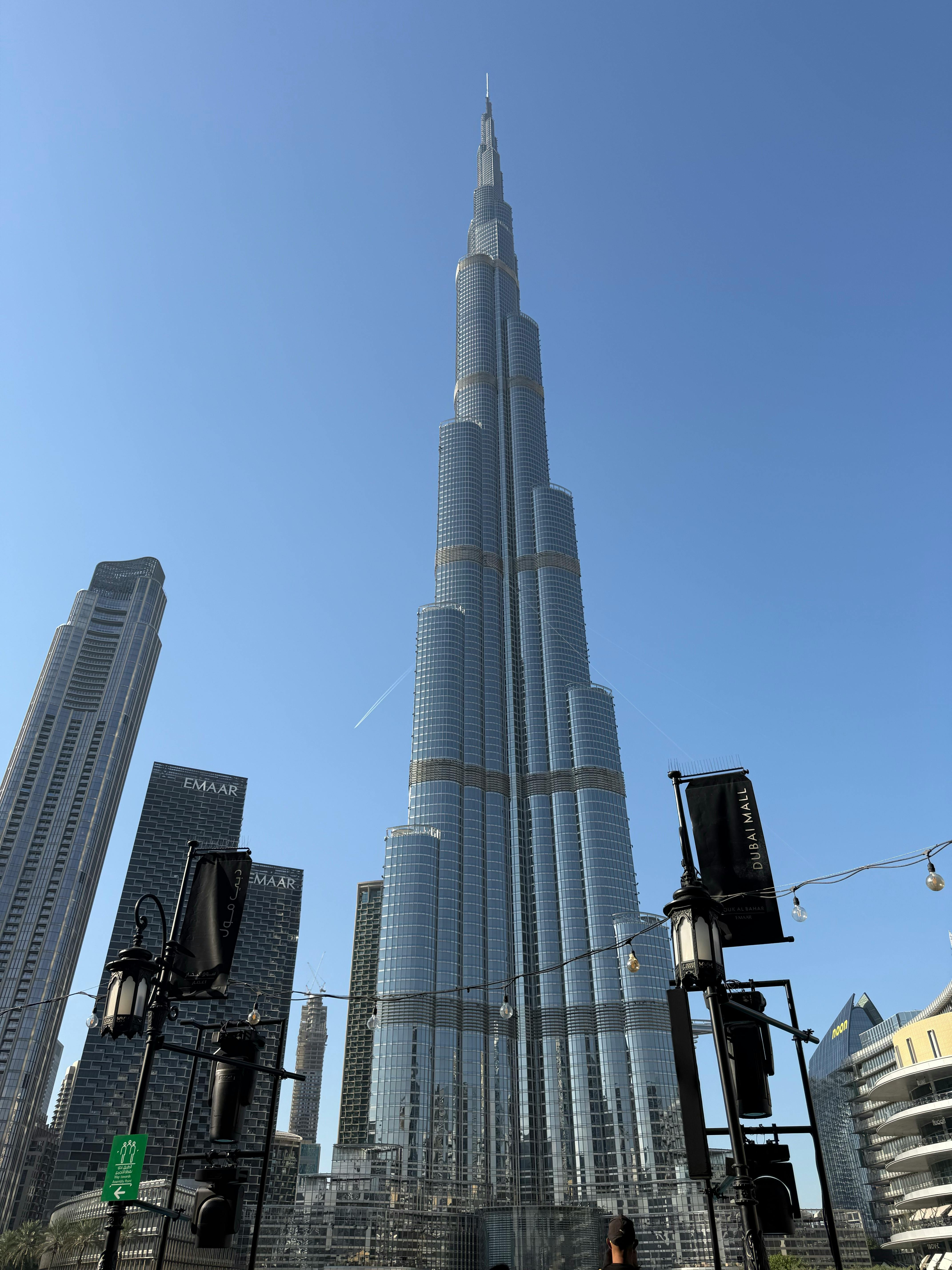 763+ Fotos y Imágenes de Swallow+ema+novak Gratis · Banco de Fotos Gratis