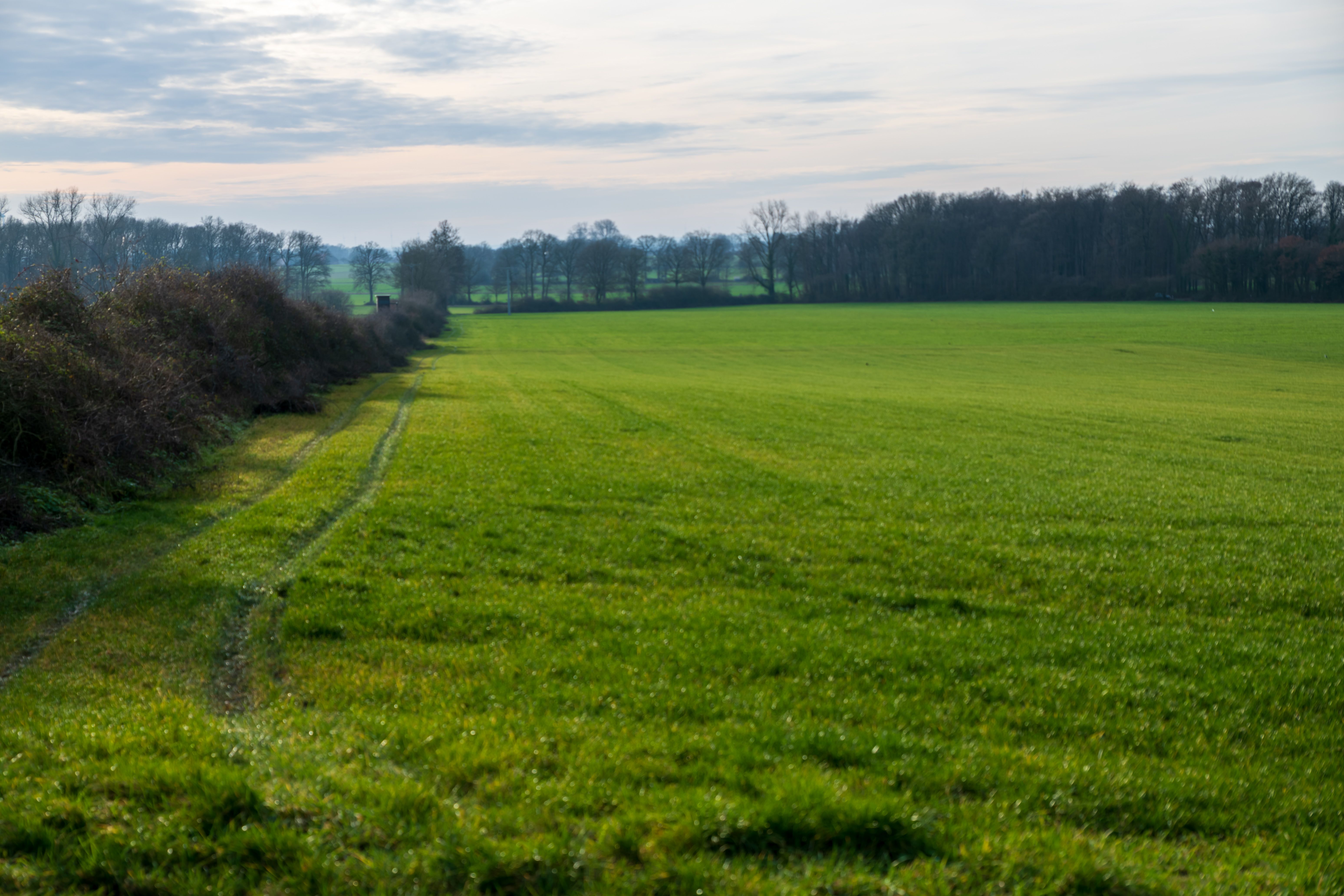 Horizontal Landscape Photos, Download The BEST Free Horizontal ...