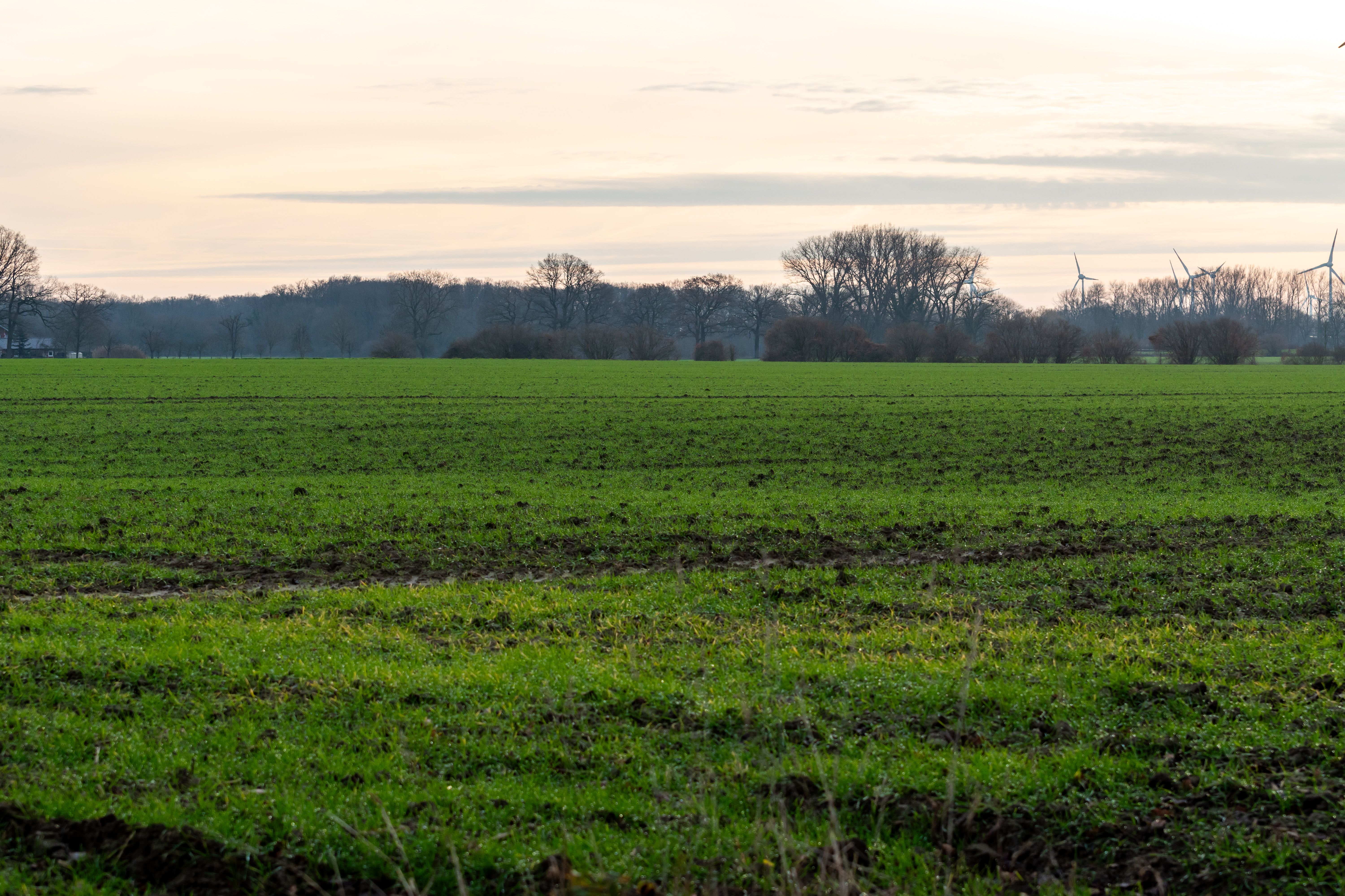 Earth Bund Photos, Download The BEST Free Earth Bund Stock Photos & HD ...