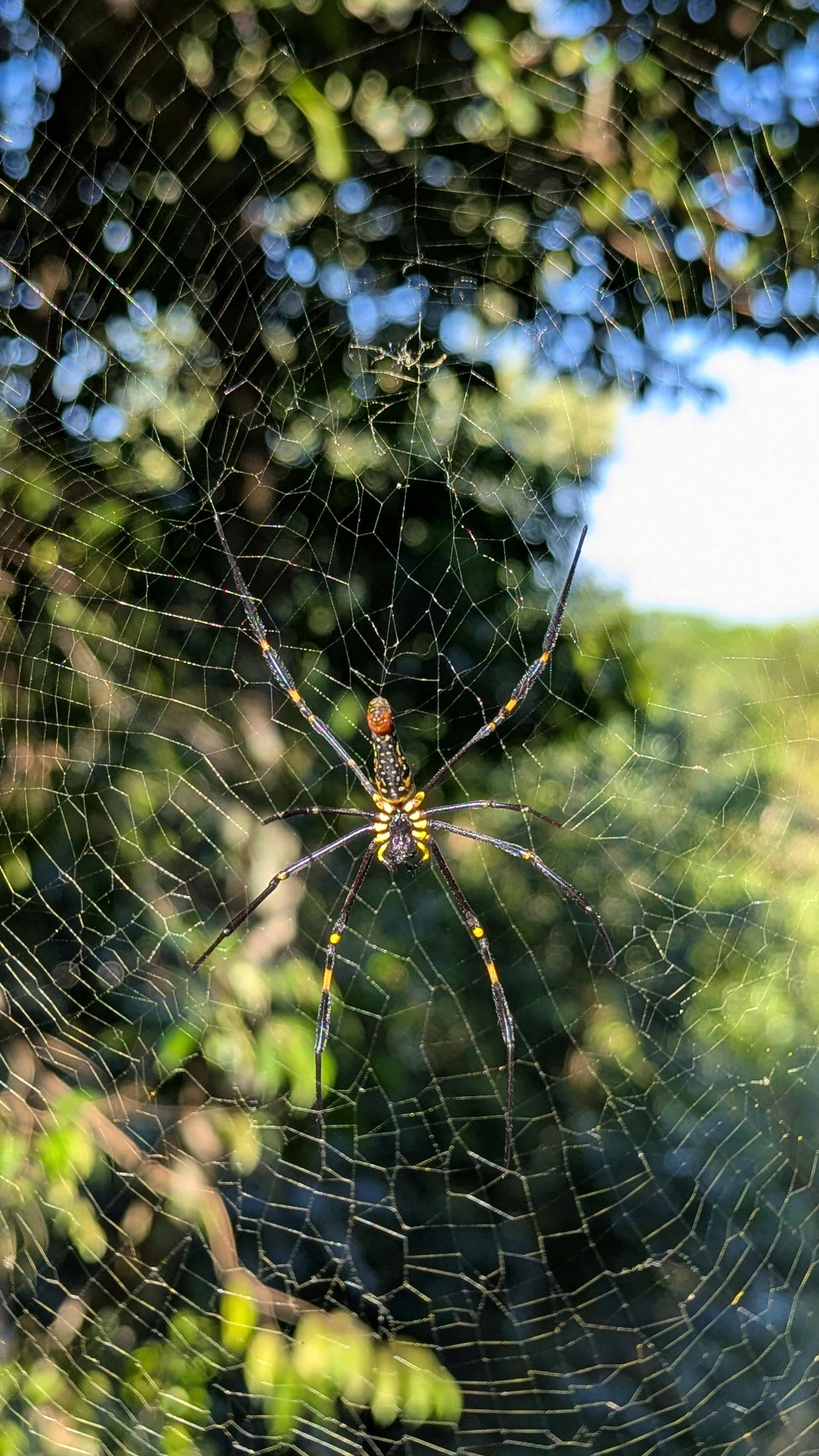 Imagex+Web Photos, Download The BEST Free Imagex+Web Stock Photos & HD ...