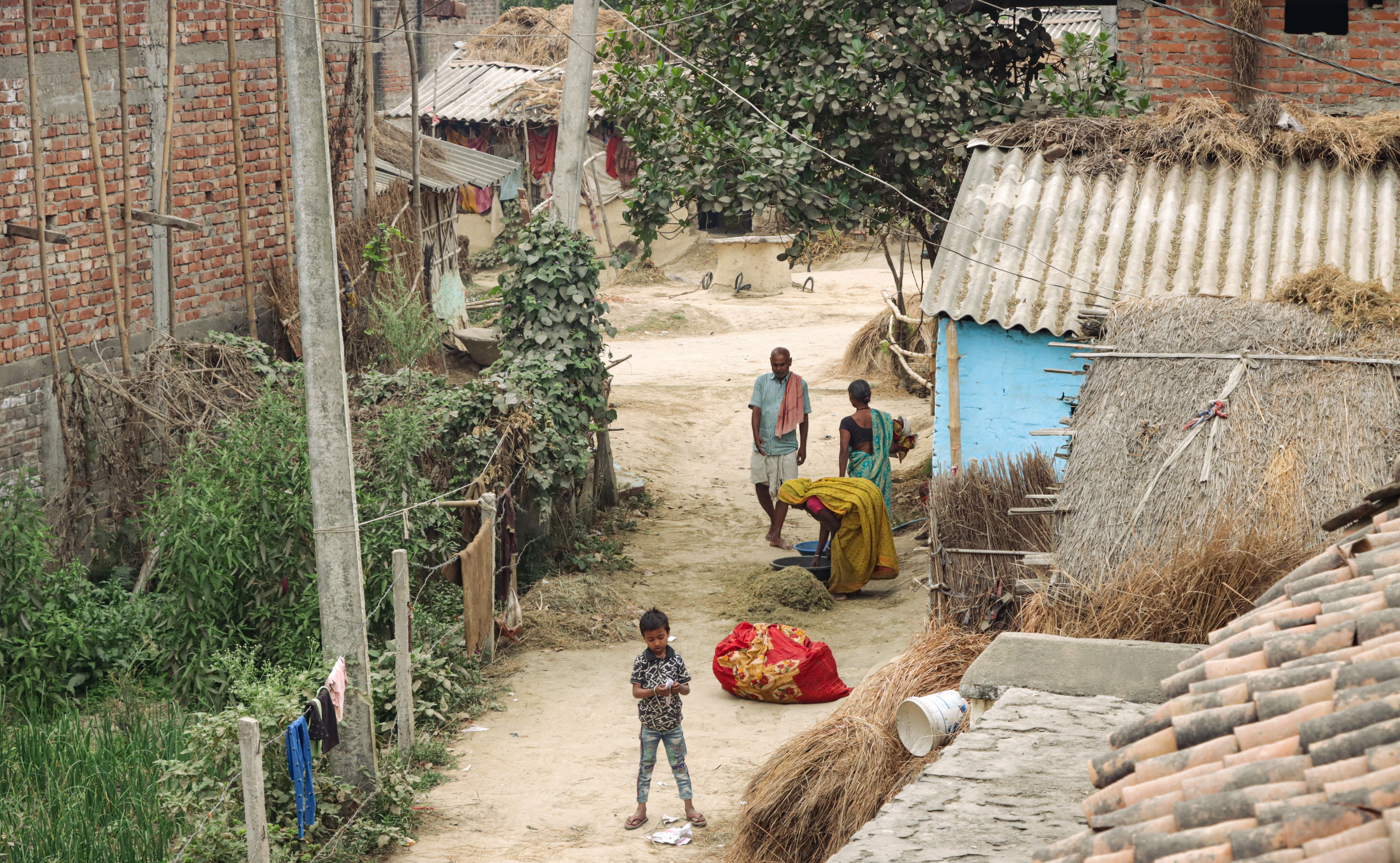 Rural Village Life in India: A Glimpse of Tradition · Free Stock Photo