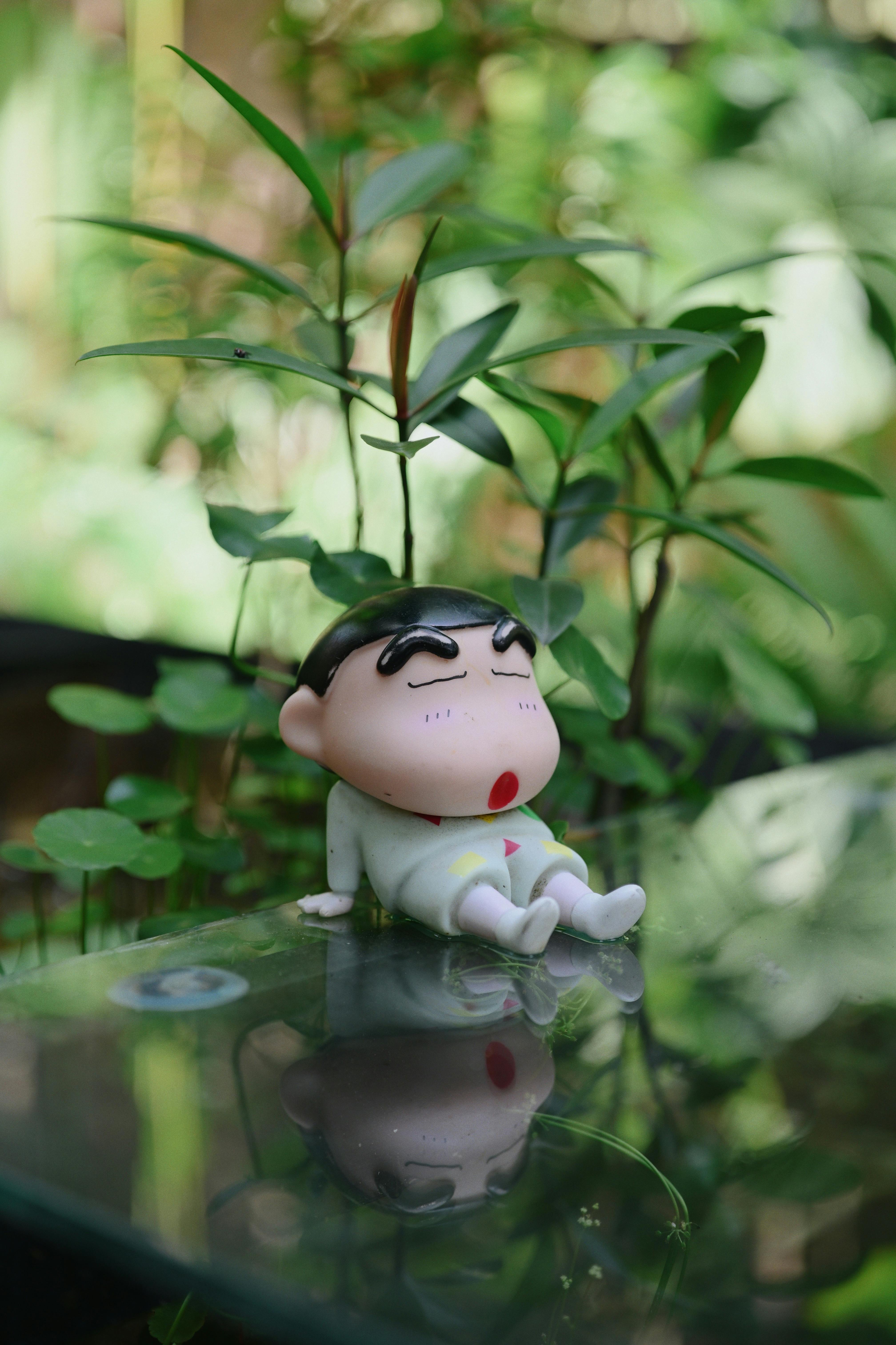 Animated Gif Photos, Download The BEST Free Animated Gif Stock Photos ...