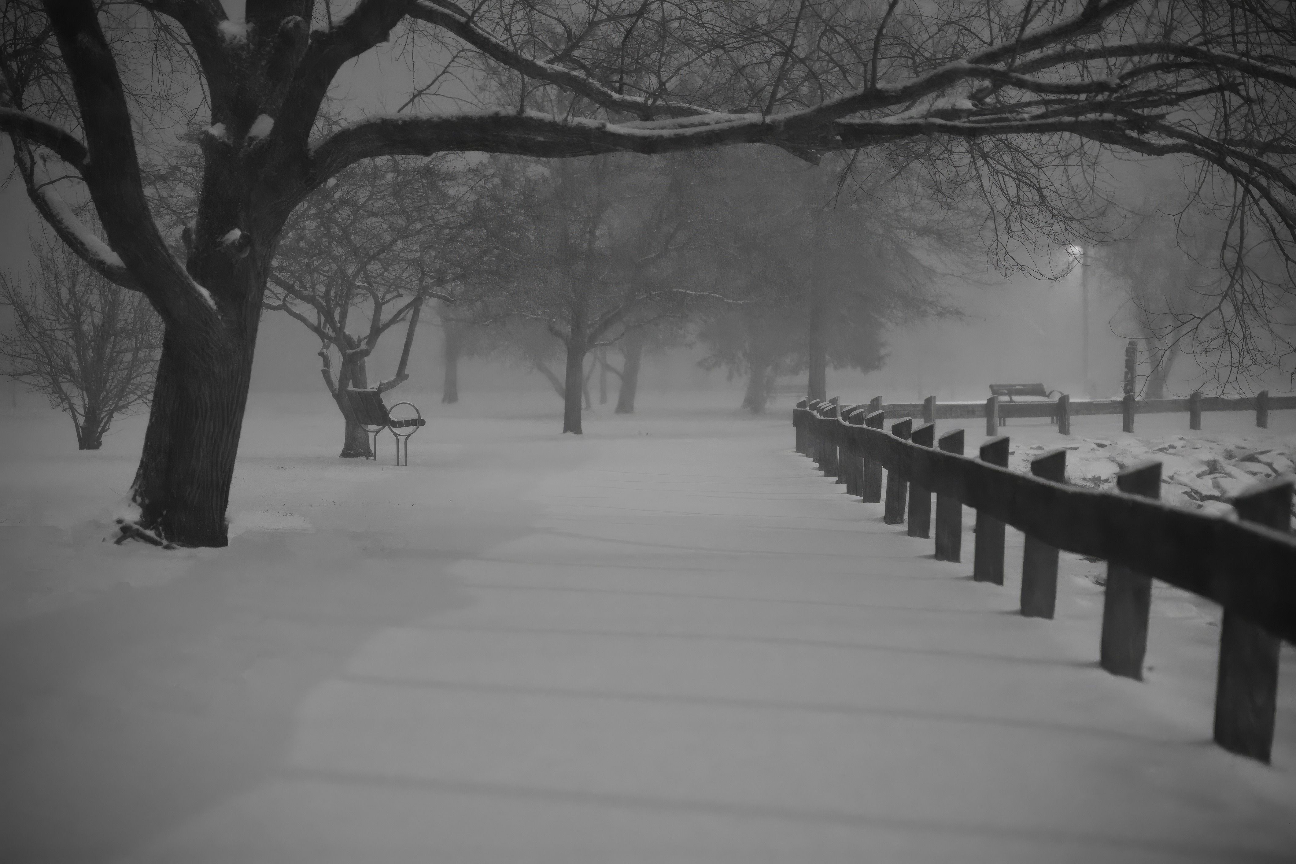 Snowy Winter Park Path with Bare Trees · Free Stock Photo