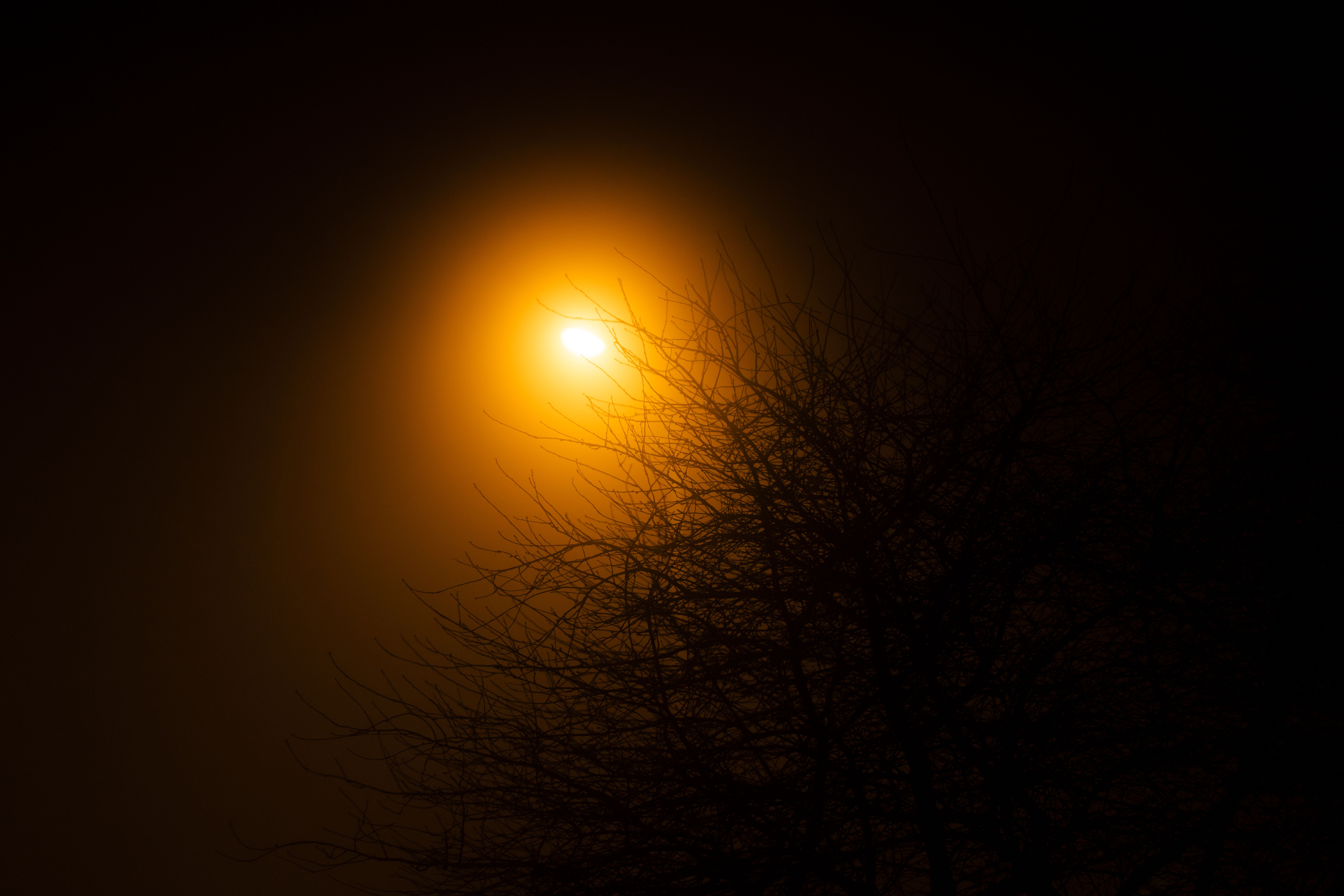 Hazy Night Sky Photos, Download The BEST Free Hazy Night Sky Stock ...