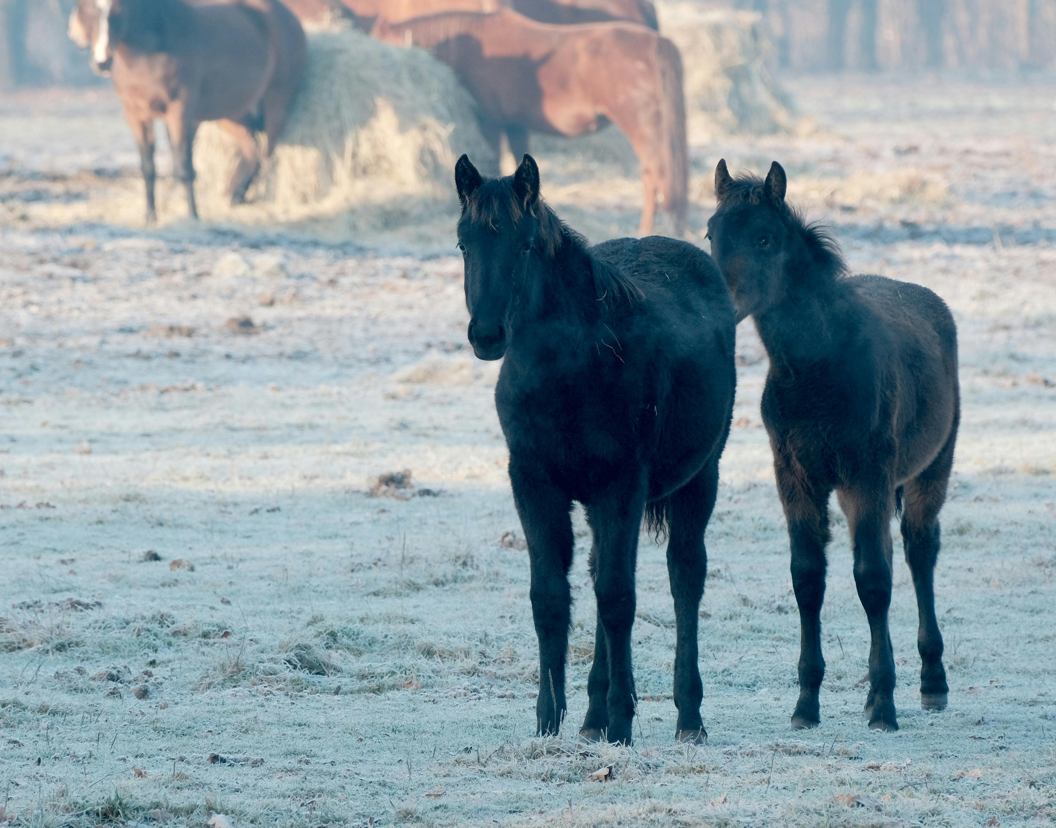 30,000+ Best Free+xxxx+nun+recives+penance Photos · 100% Free Download ...