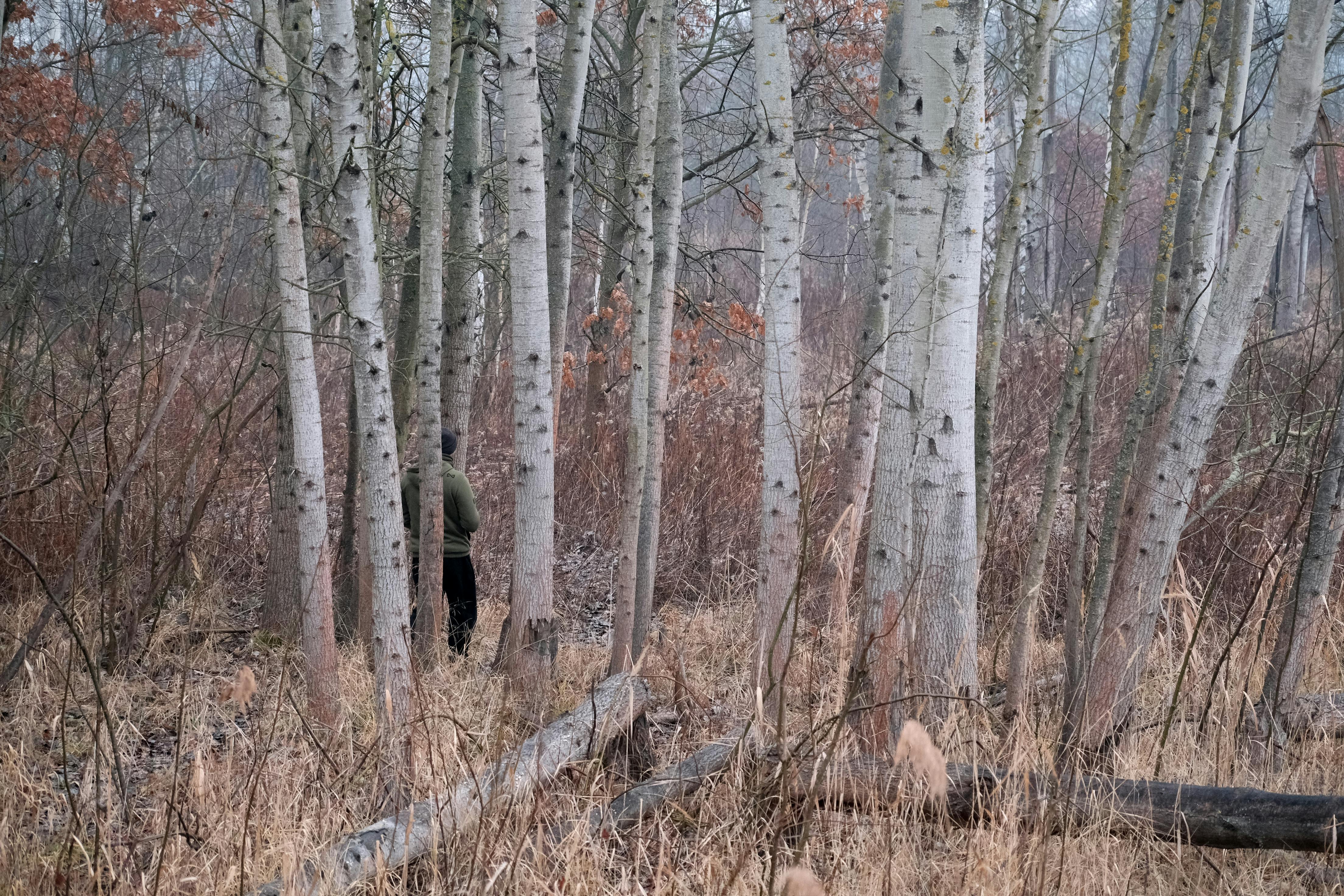 Calm Person Photos, Download The BEST Free Calm Person Stock Photos ...