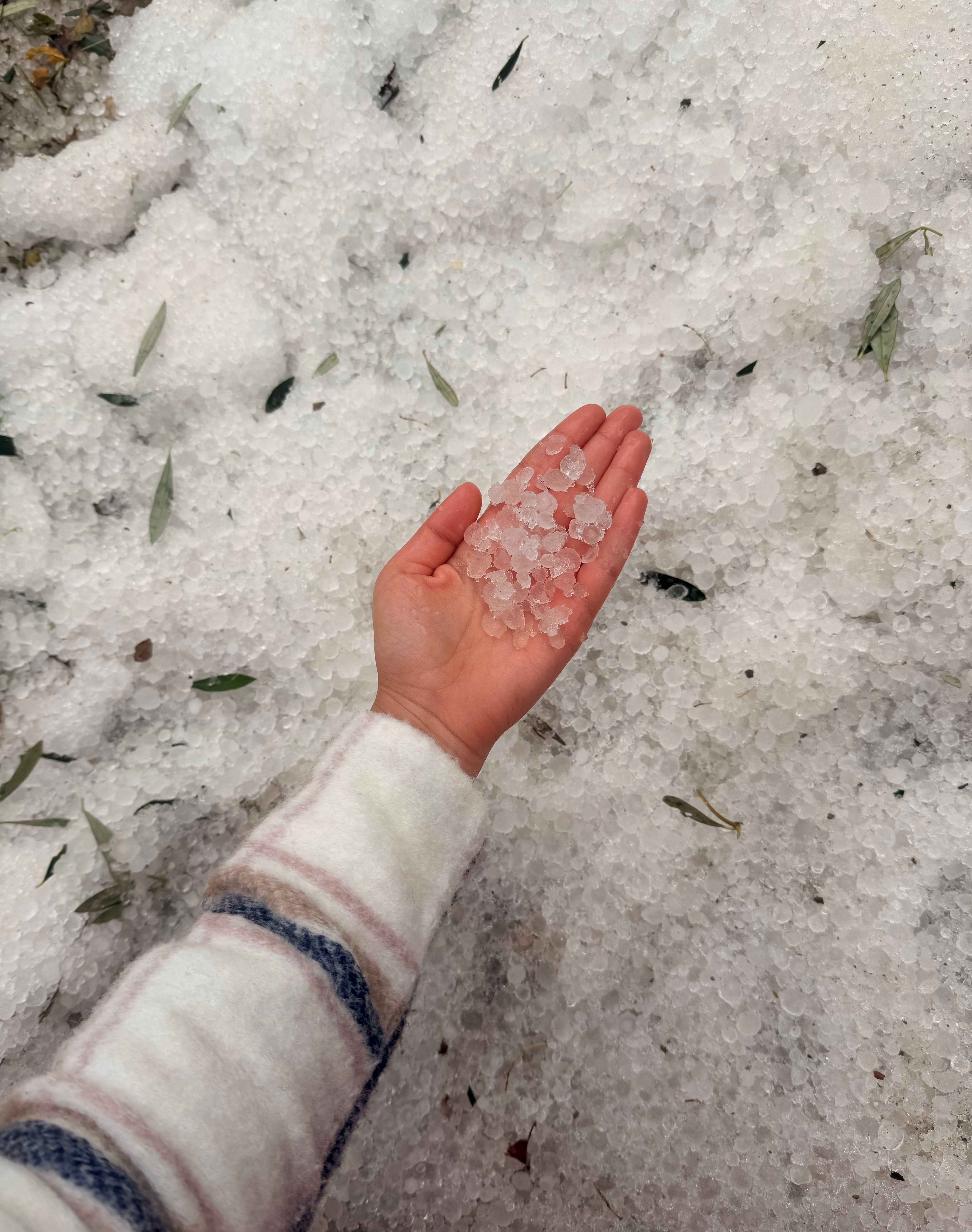 Ground Hand Photos, Download The BEST Free Ground Hand Stock Photos ...