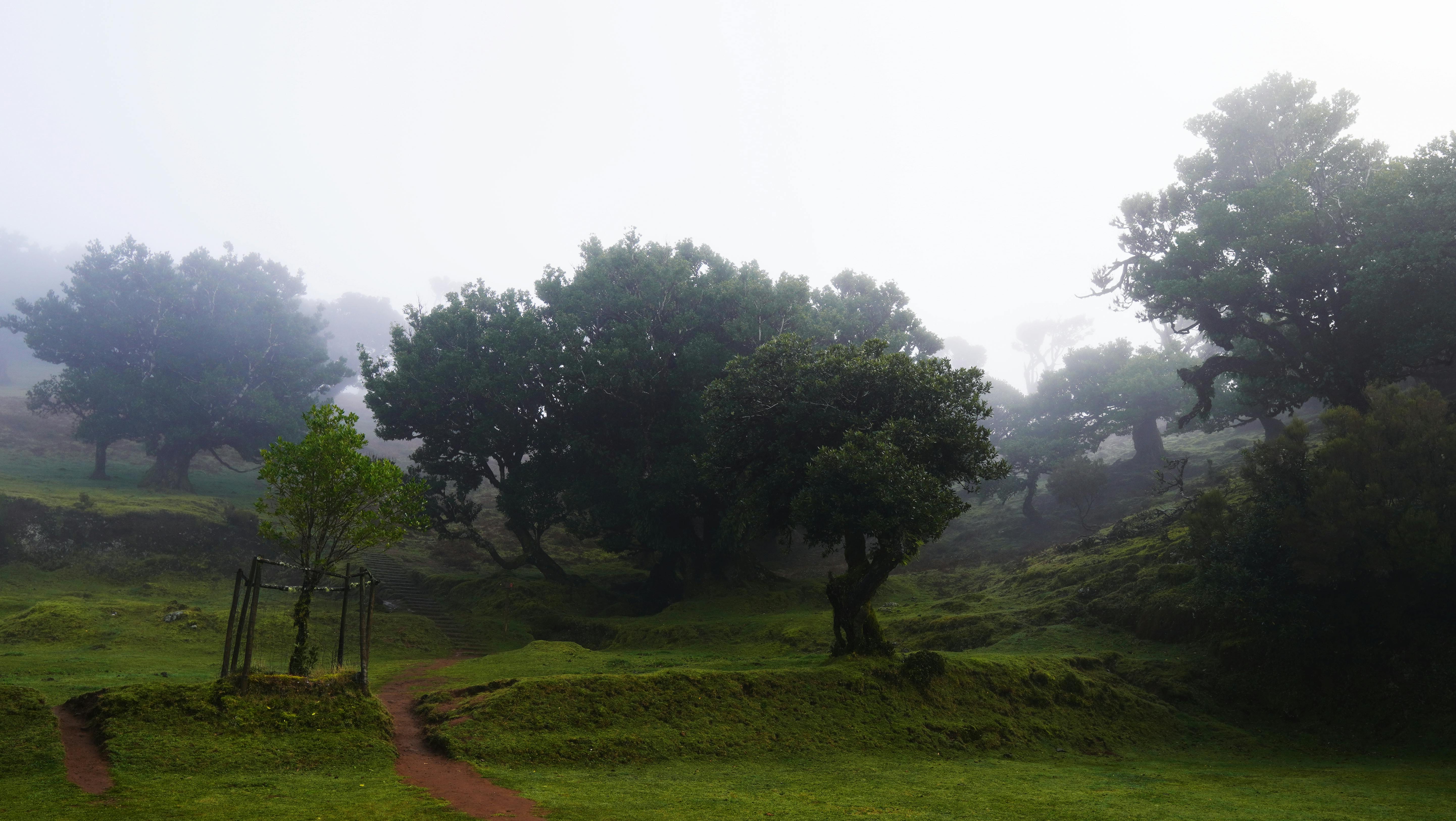 Placed+On Photos, Download The BEST Free Placed+On Stock Photos & HD Images