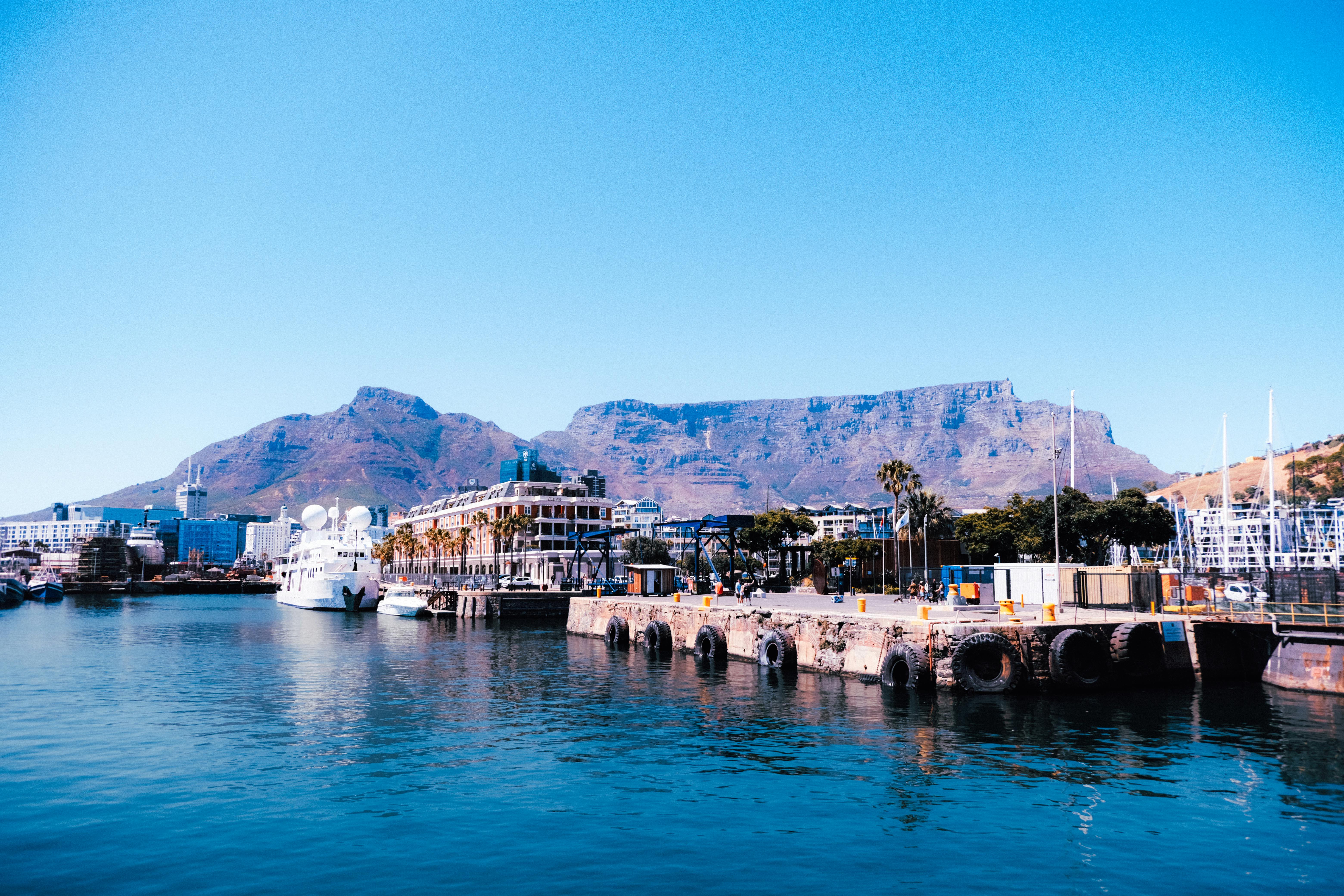 Pies+On+Table Photos, Download The BEST Free Pies+On+Table Stock Photos ...