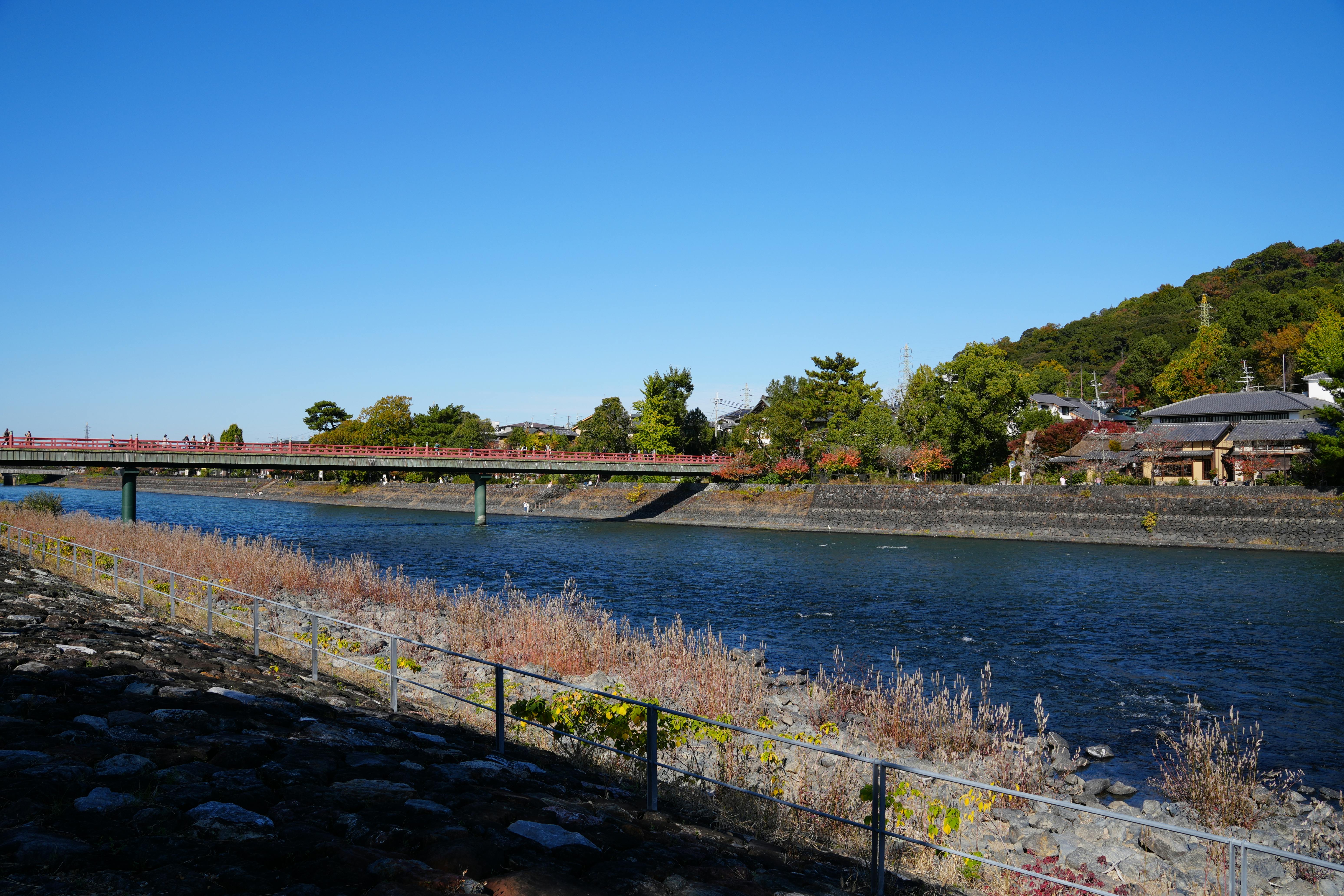 Scenic Autumn View of Uji River and Bridge in Kyoto · Free Stock Photo