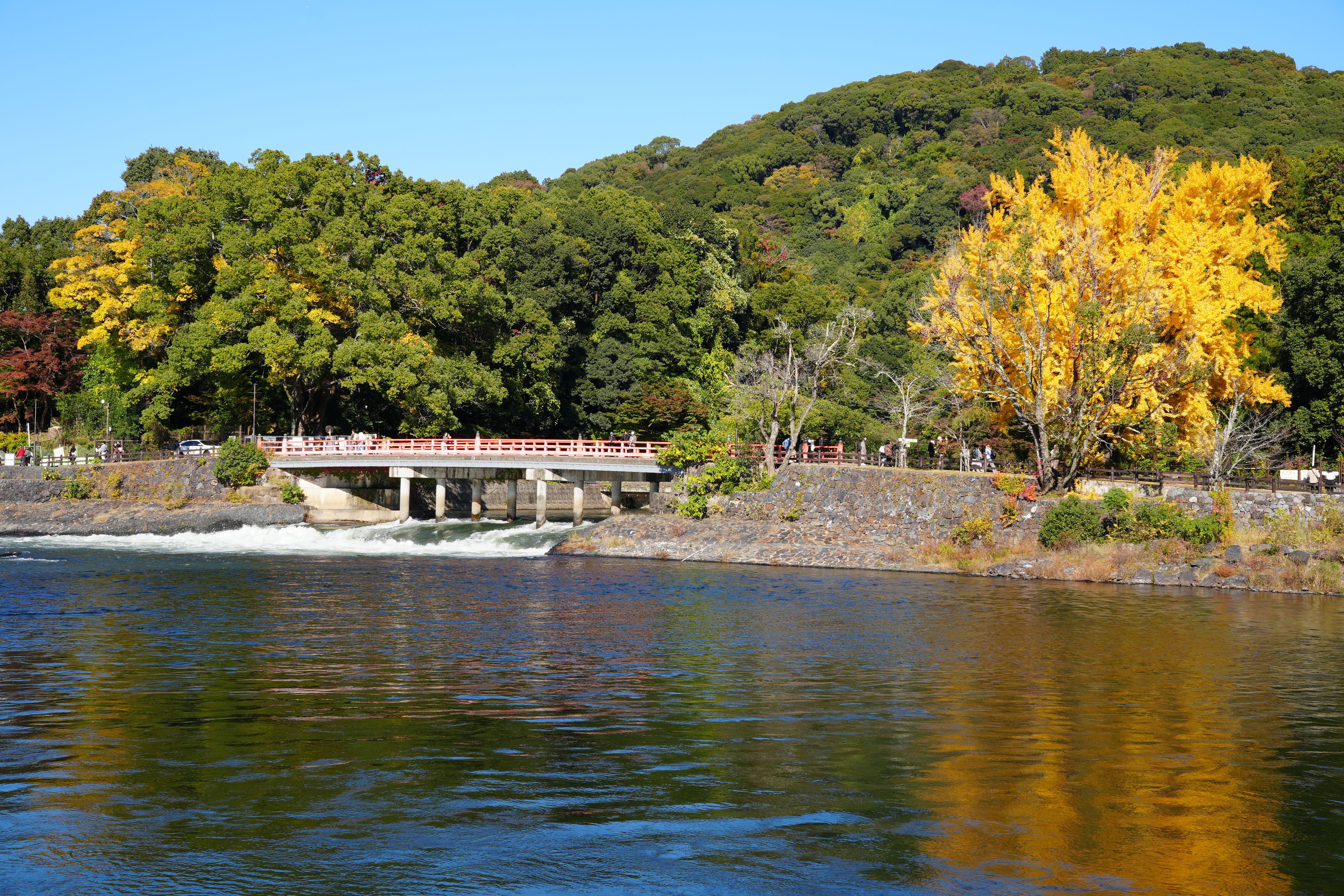 Scenic Autumn View of Uji Bridge in Kyoto, Japan · Free Stock Photo
