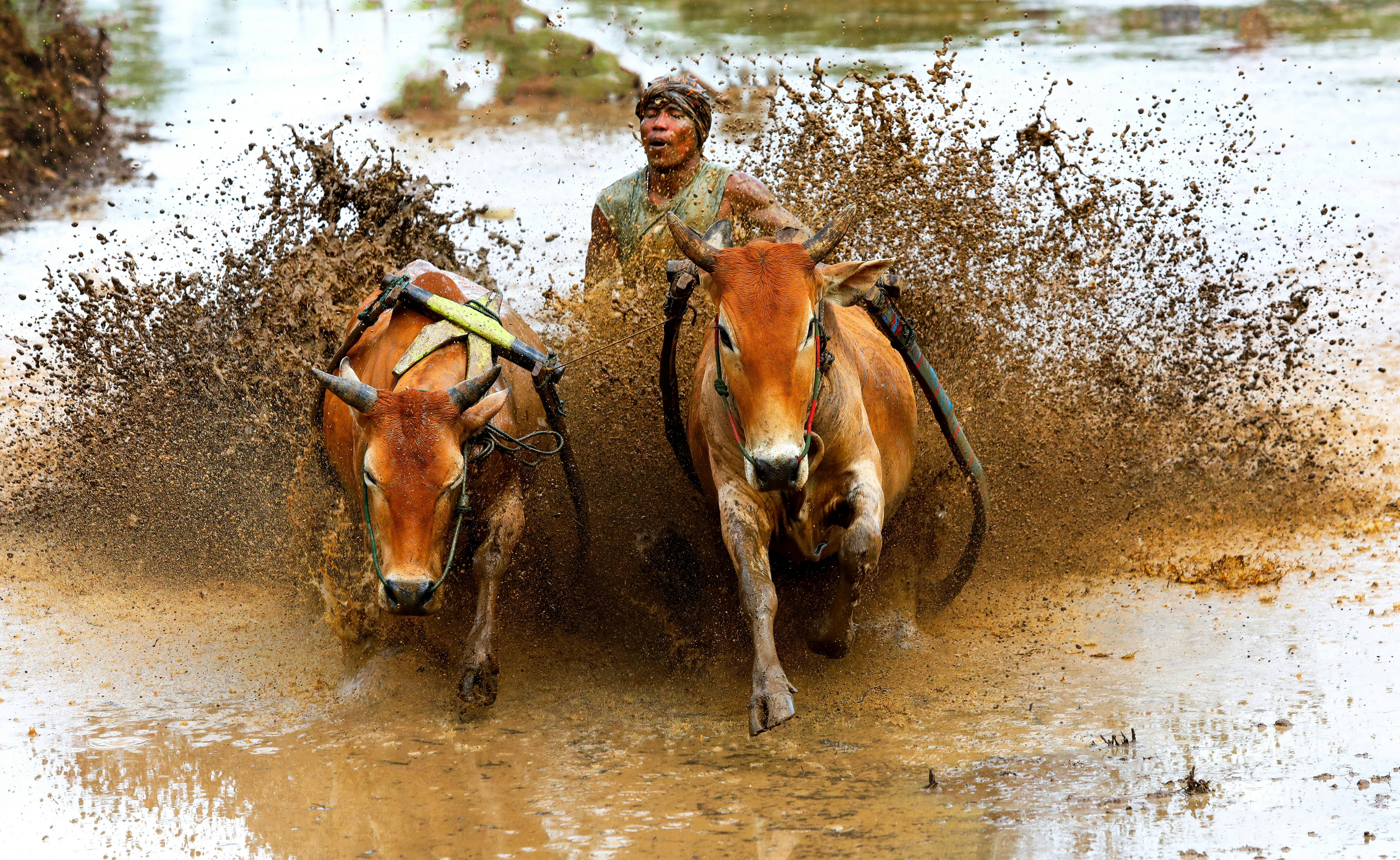 27.583+ Fotos y Imágenes de Bokep+big+bos Gratis · Banco de Fotos Gratis