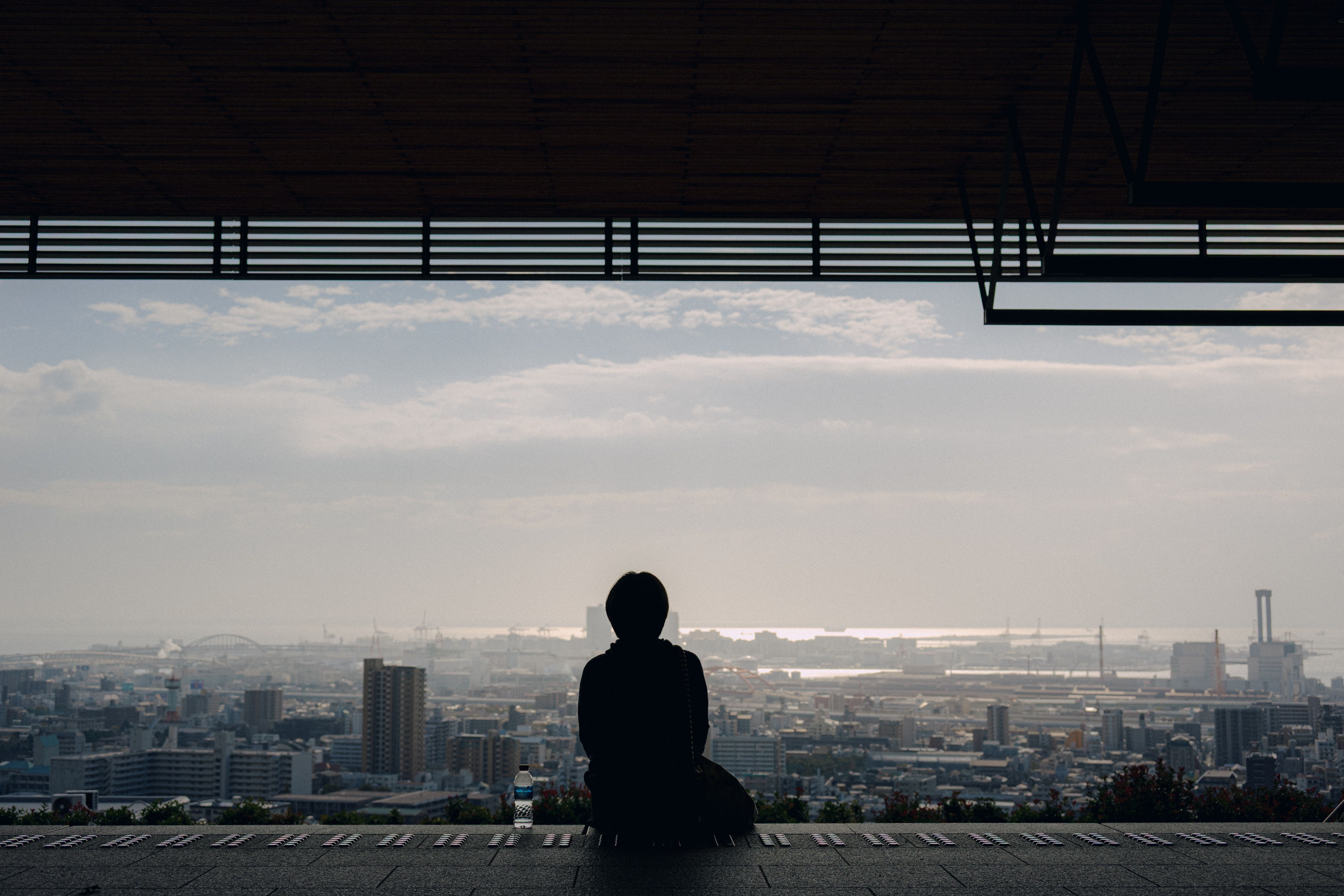 Silhouette of Person Overlooking Urban Cityscape · Free Stock Photo
