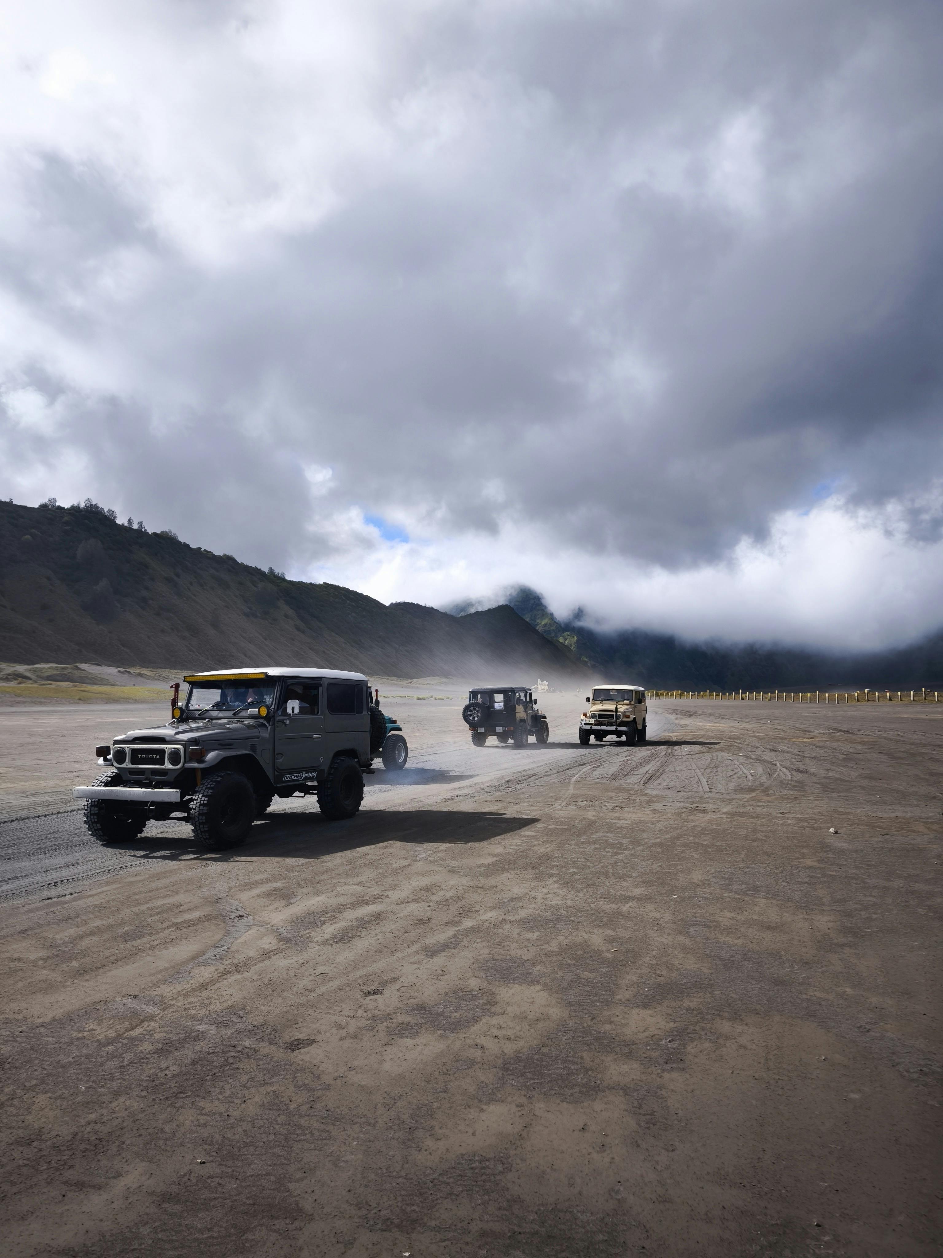 Elena Safari Listal Photos, Download The BEST Free Elena Safari Listal ...