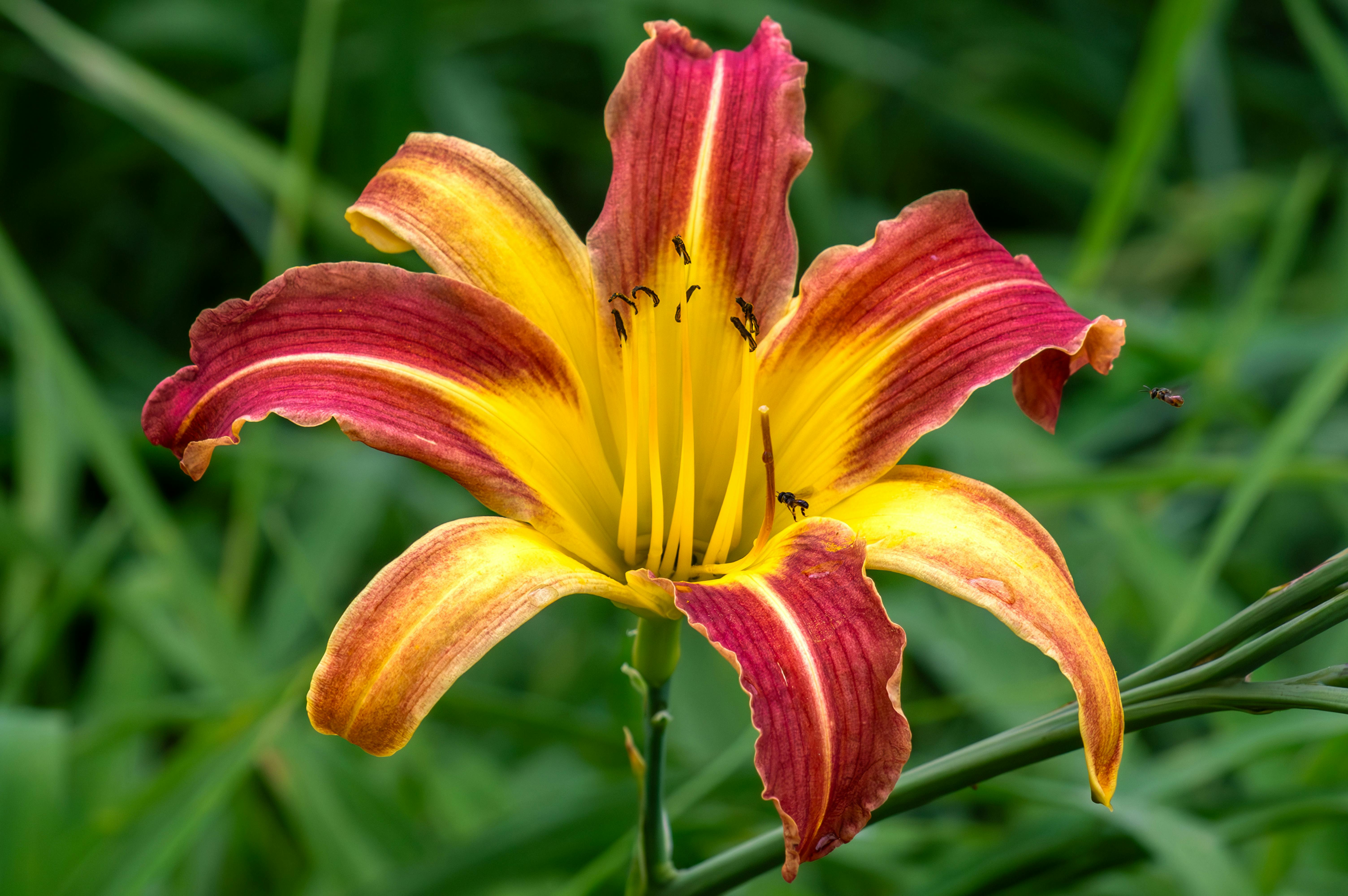 The+Video+Of+A.+I. Photos, Download The BEST Free The+Video+Of+A.+I ...