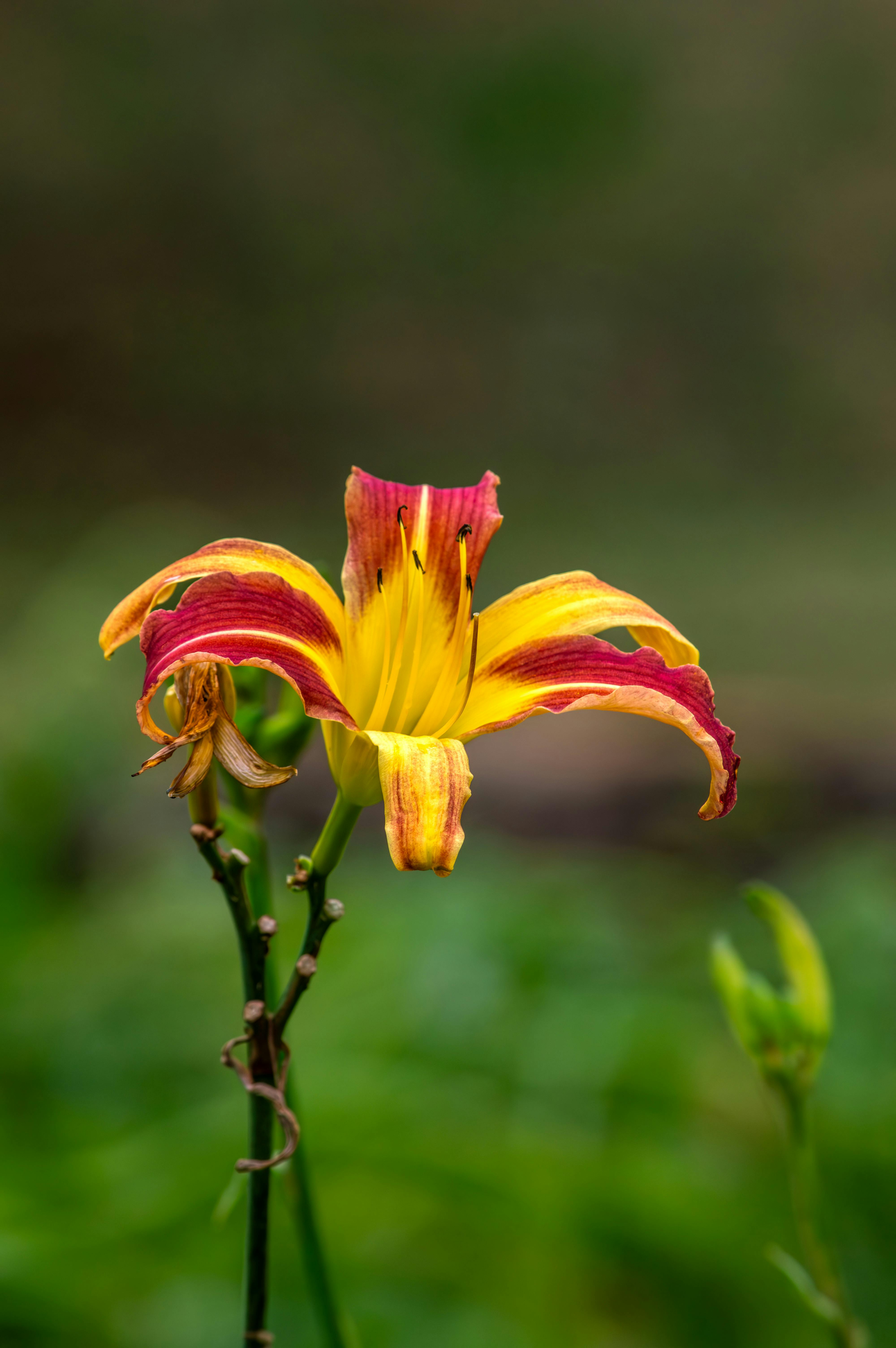 Video+1est Photos, Download The BEST Free Video+1est Stock Photos & HD ...