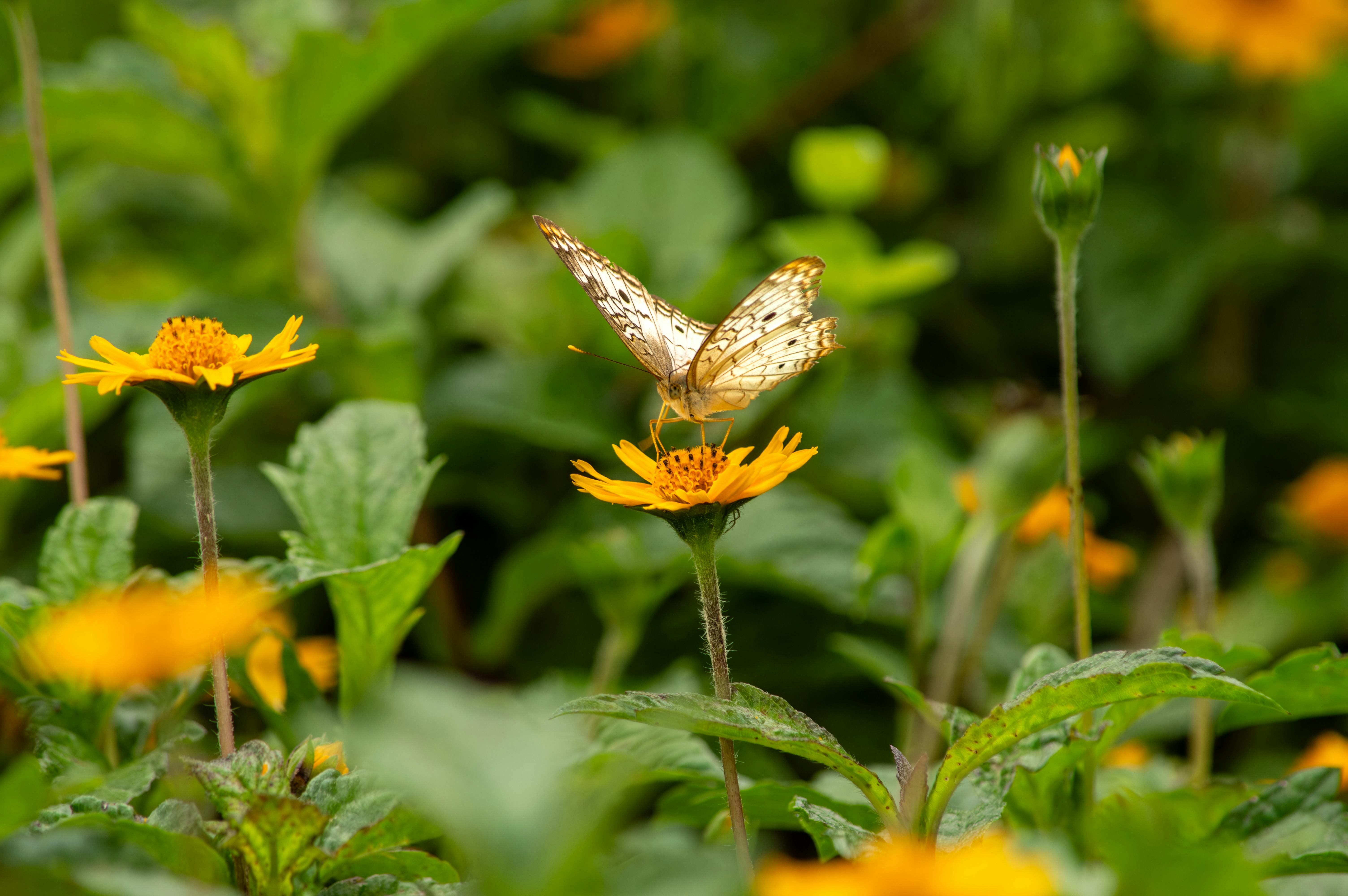 Blitz+Video+Kostenlos Photos, Download The BEST Free Blitz+Video ...