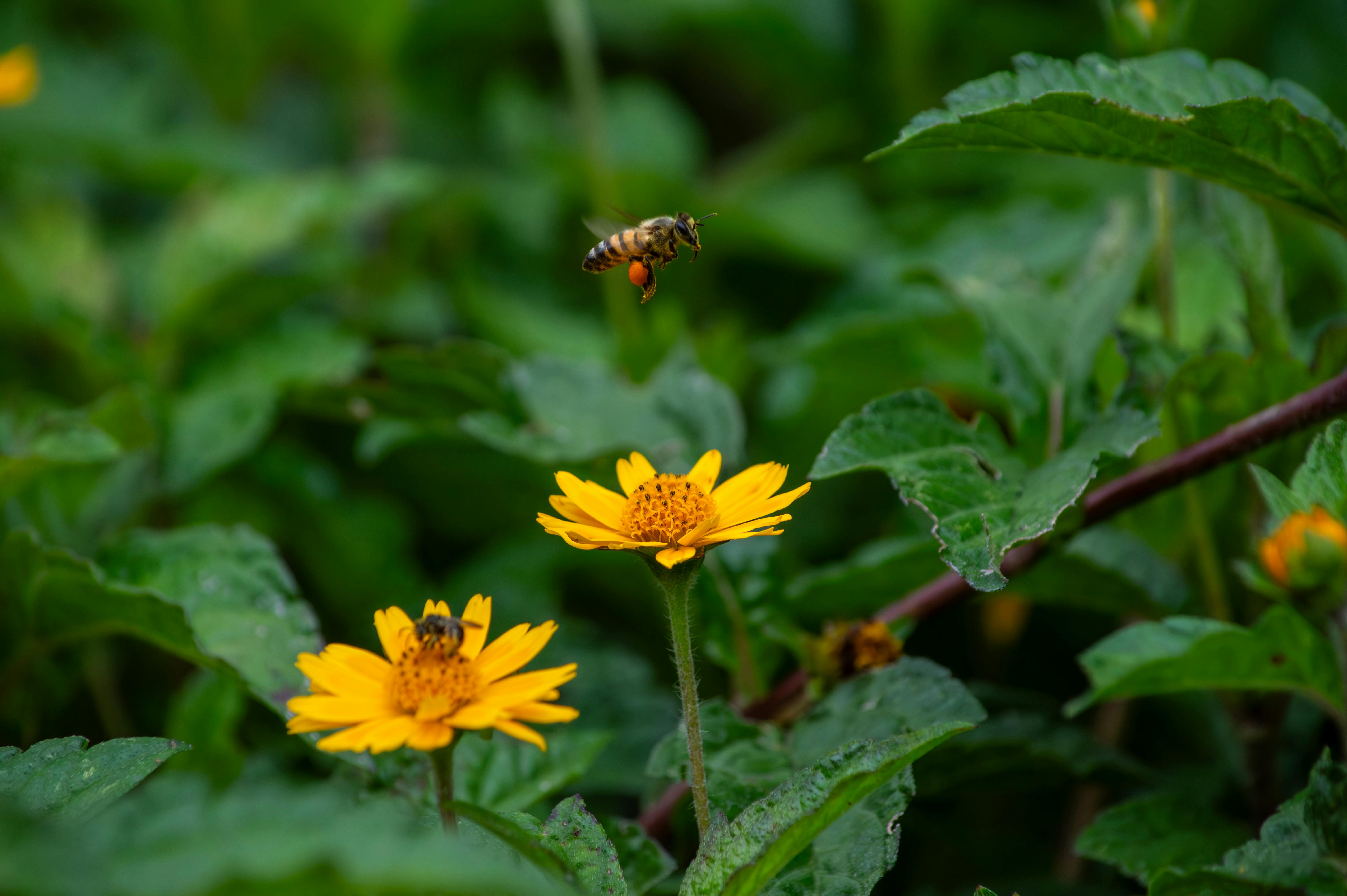 10 000+ Video+bokep+indo+terbaru+20242025 banque d’images et photos libres de droit ...