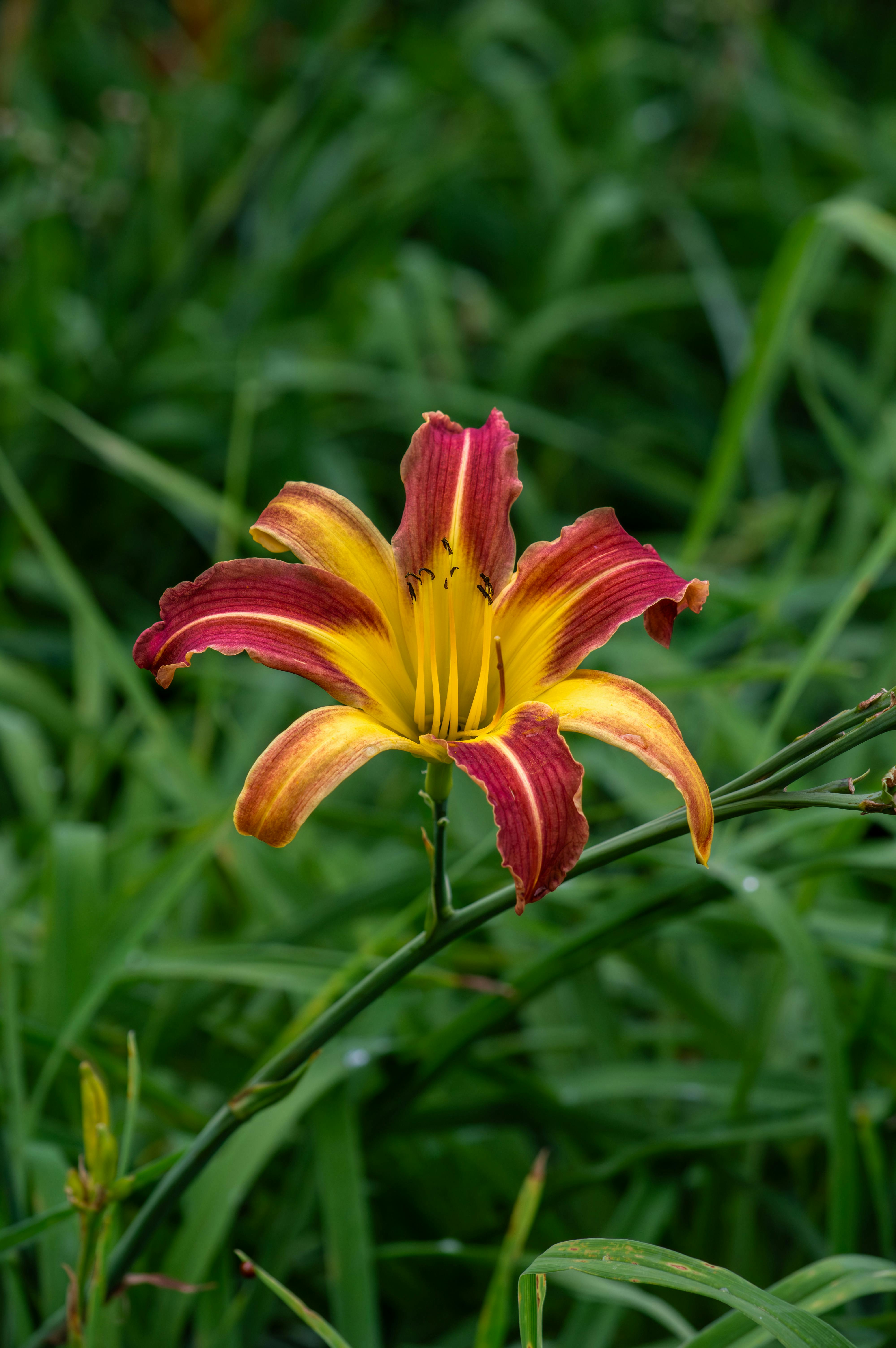 10 000+ Video+bokep+indo+terbaru+20242025 banque d’images et photos libres de droit ...