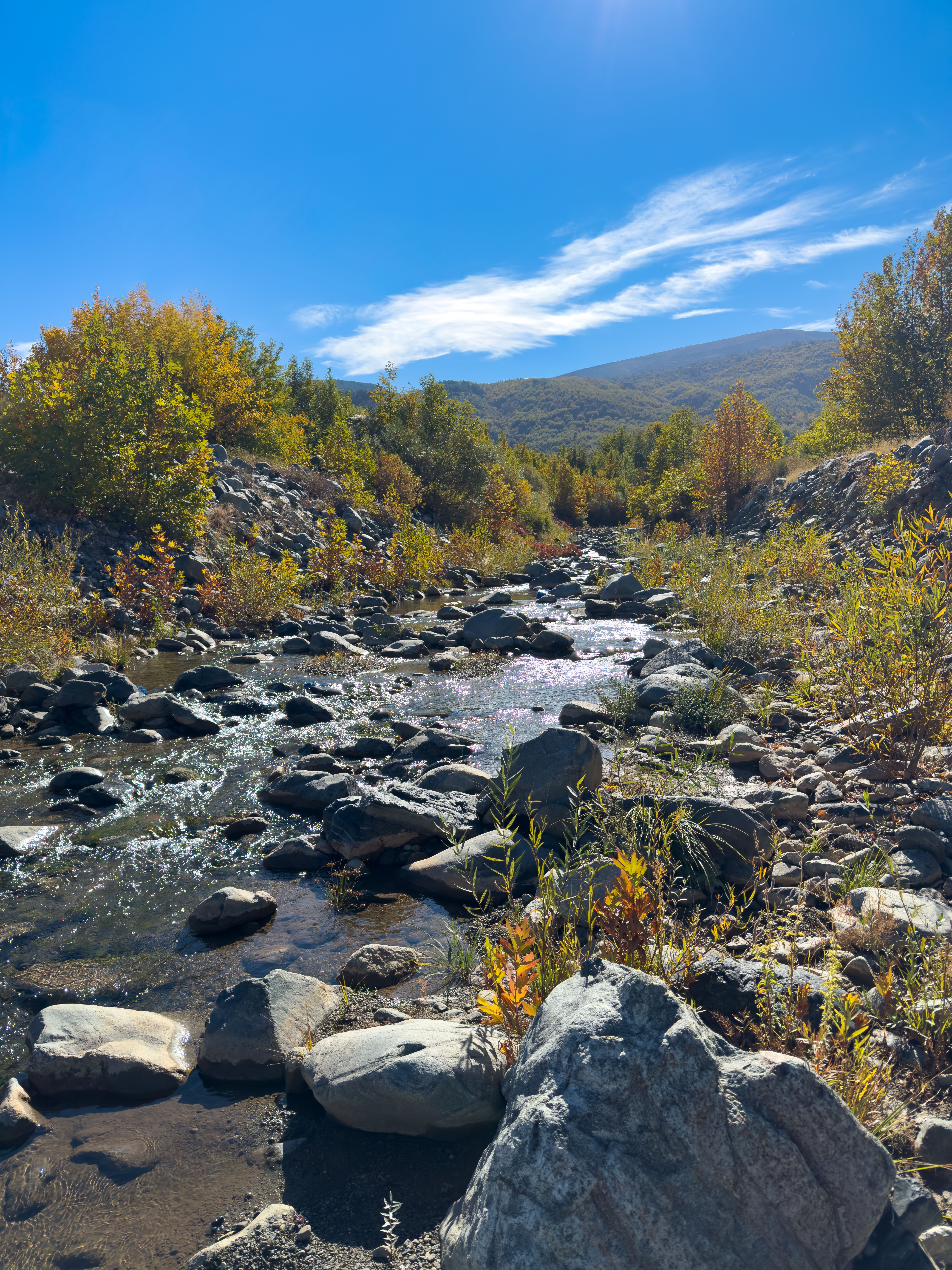 Clean Water Photos, Download The BEST Free Clean Water Stock Photos ...