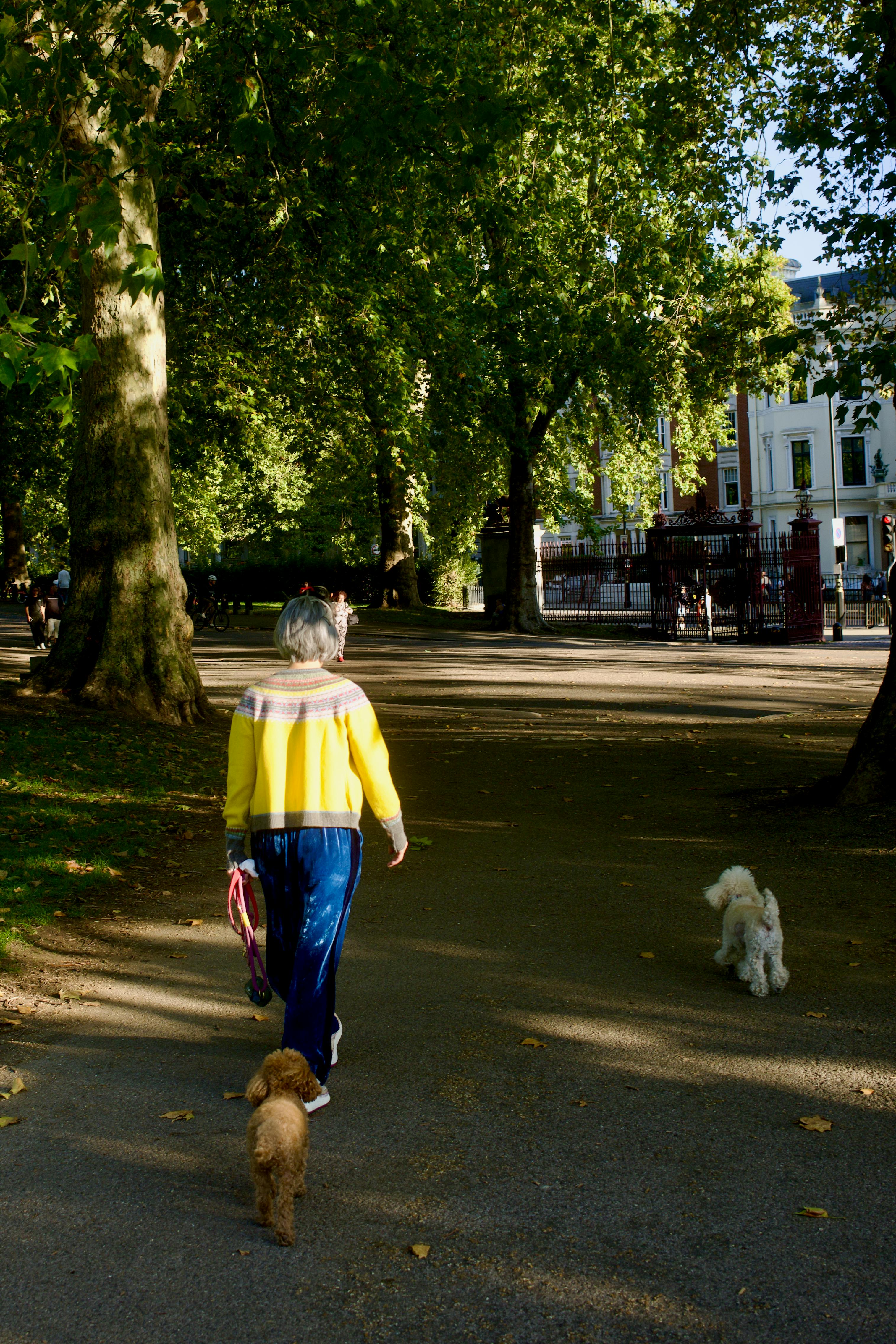 300,000+개의 최고의 Last Day 사진 · 100% 무료 다운로드 · Pexels 스톡 사진