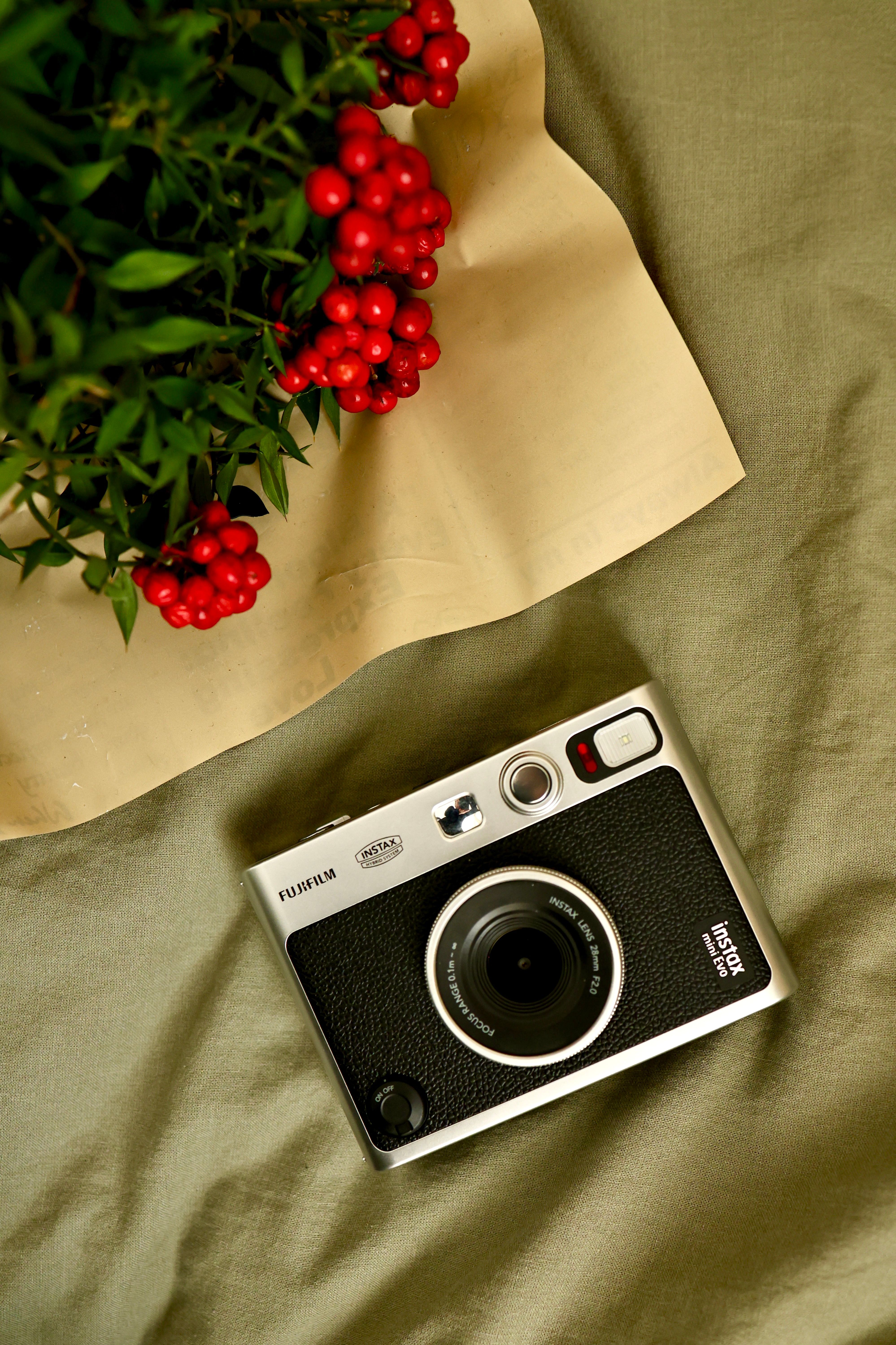 Retro Camera and Red Berries on Linen Surface · Free Stock Photo