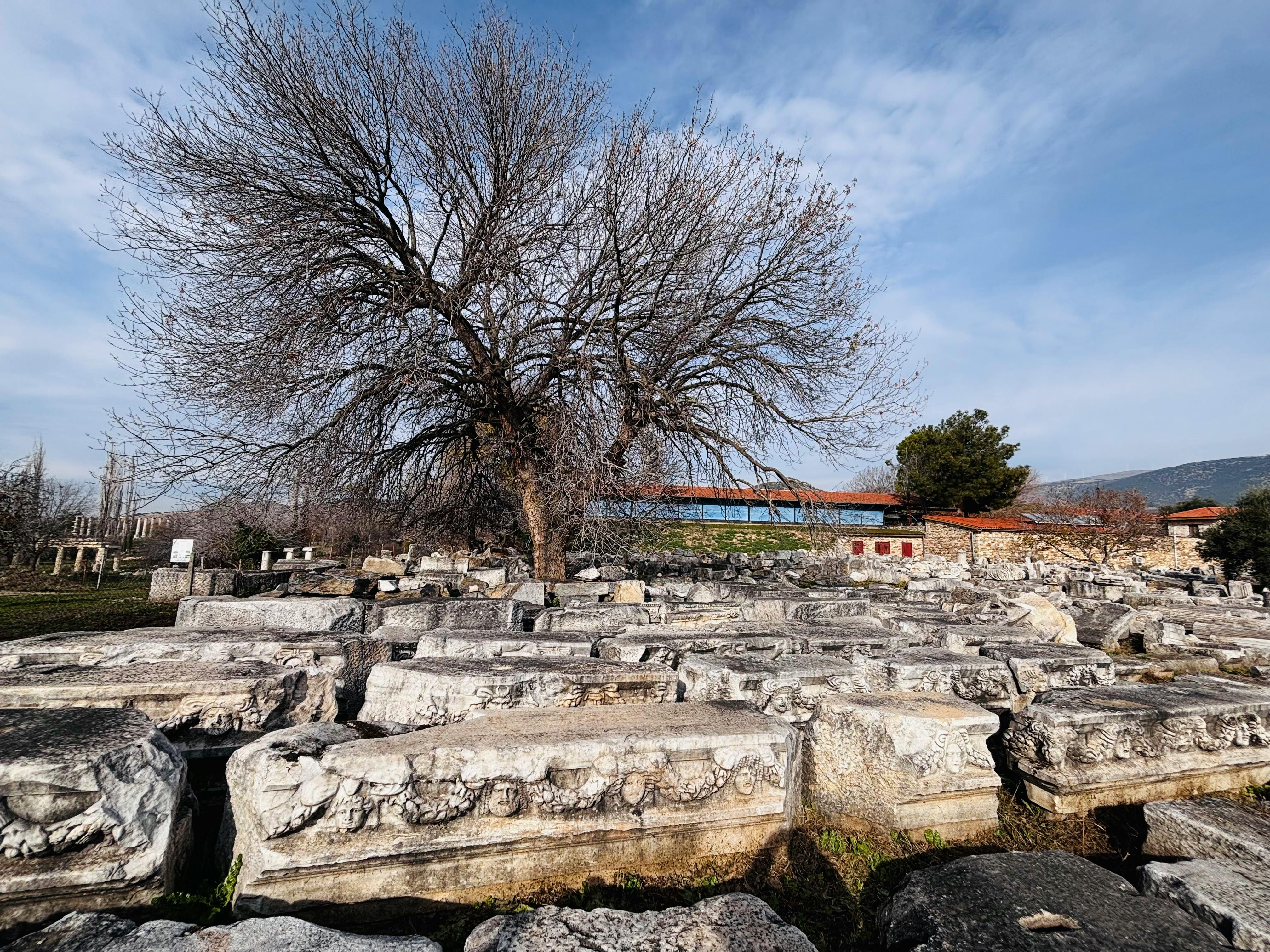 Bare Bosom Photos, Download The BEST Free Bare Bosom Stock Photos & HD ...