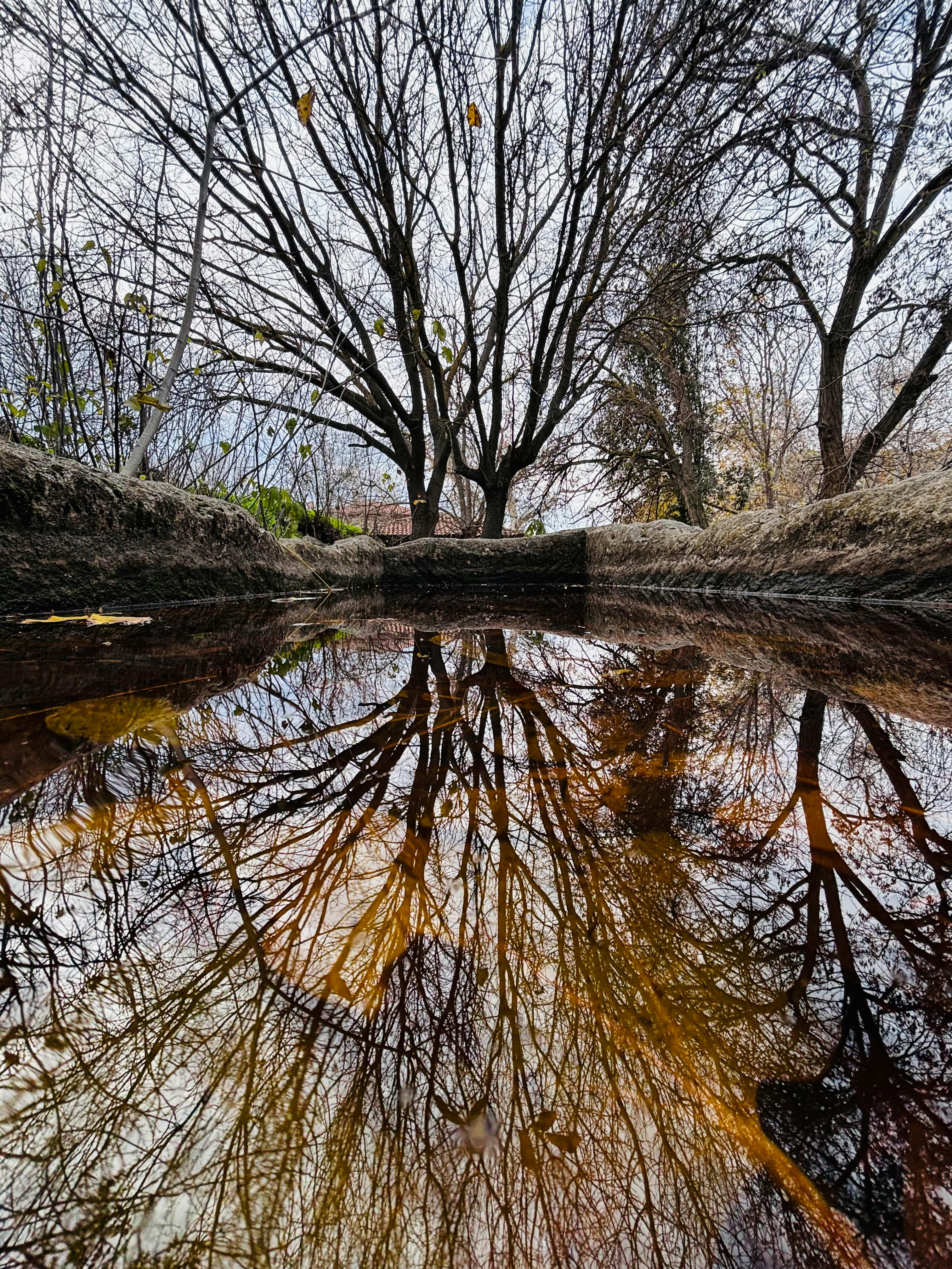 Document+Imager Photos, Download The BEST Free Document+Imager Stock ...