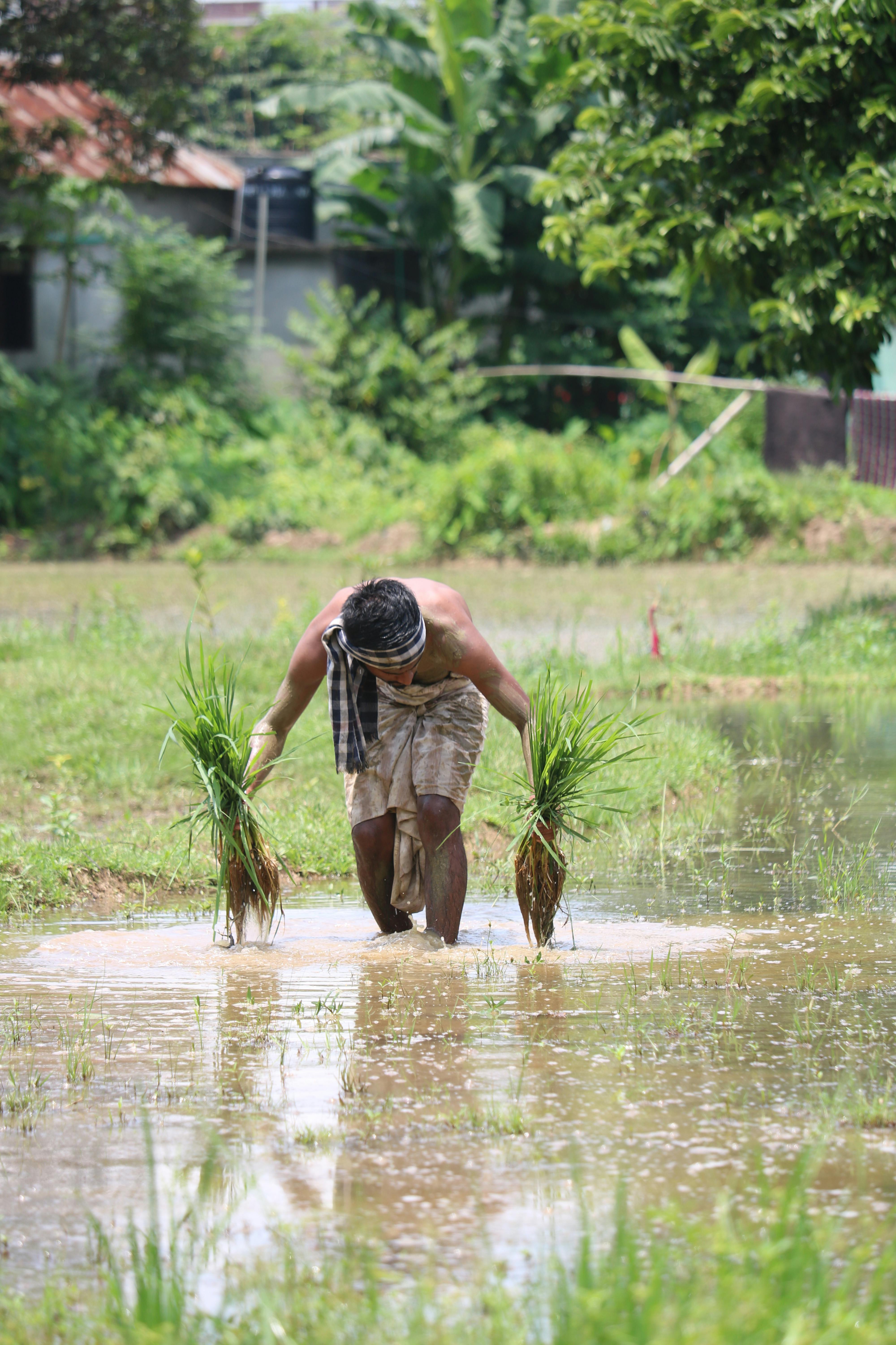 Daydrian Harding Photos, Download The BEST Free Daydrian Harding Stock ...