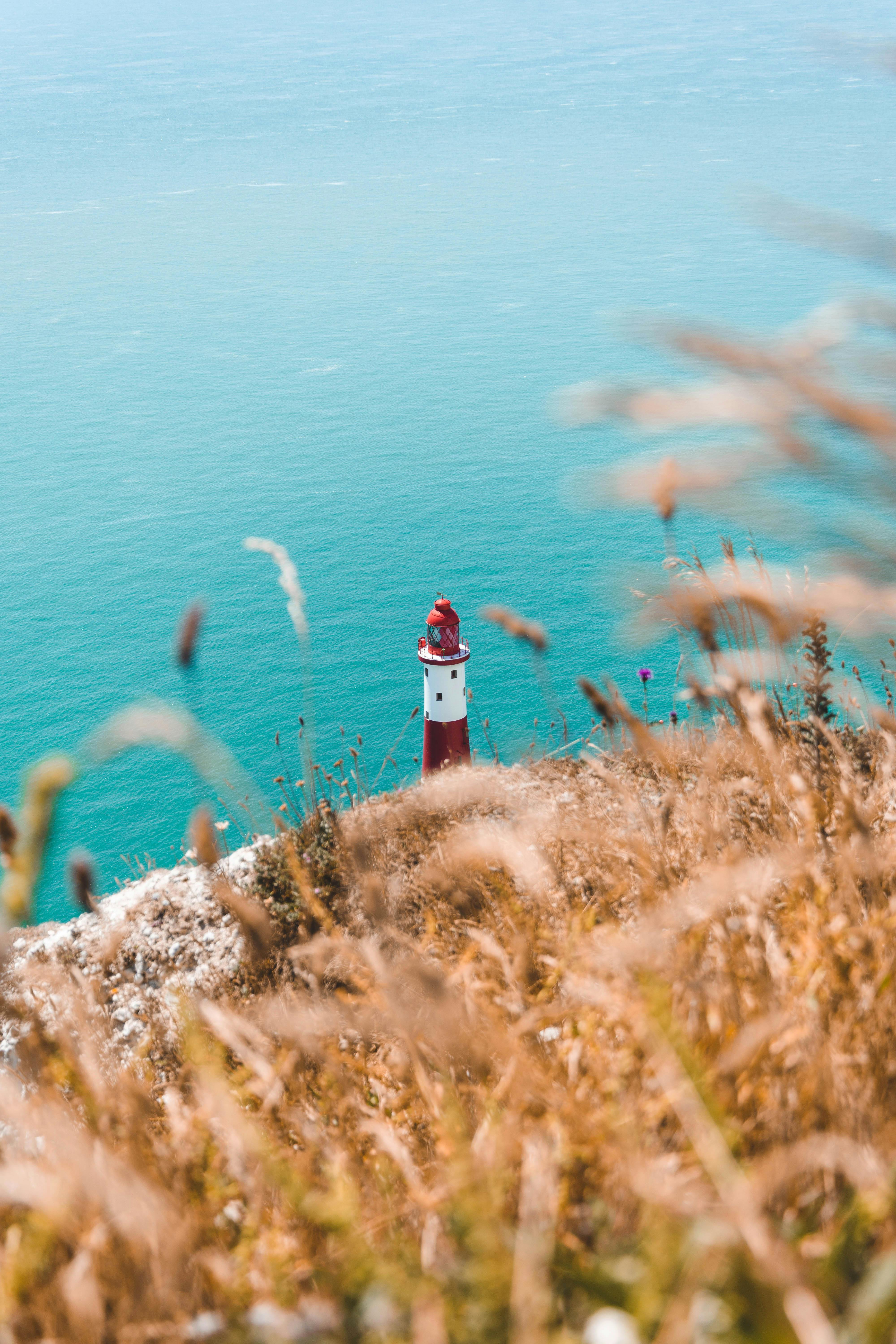 Blue Seashore Beach at Daylight Photography · Free Stock Photo