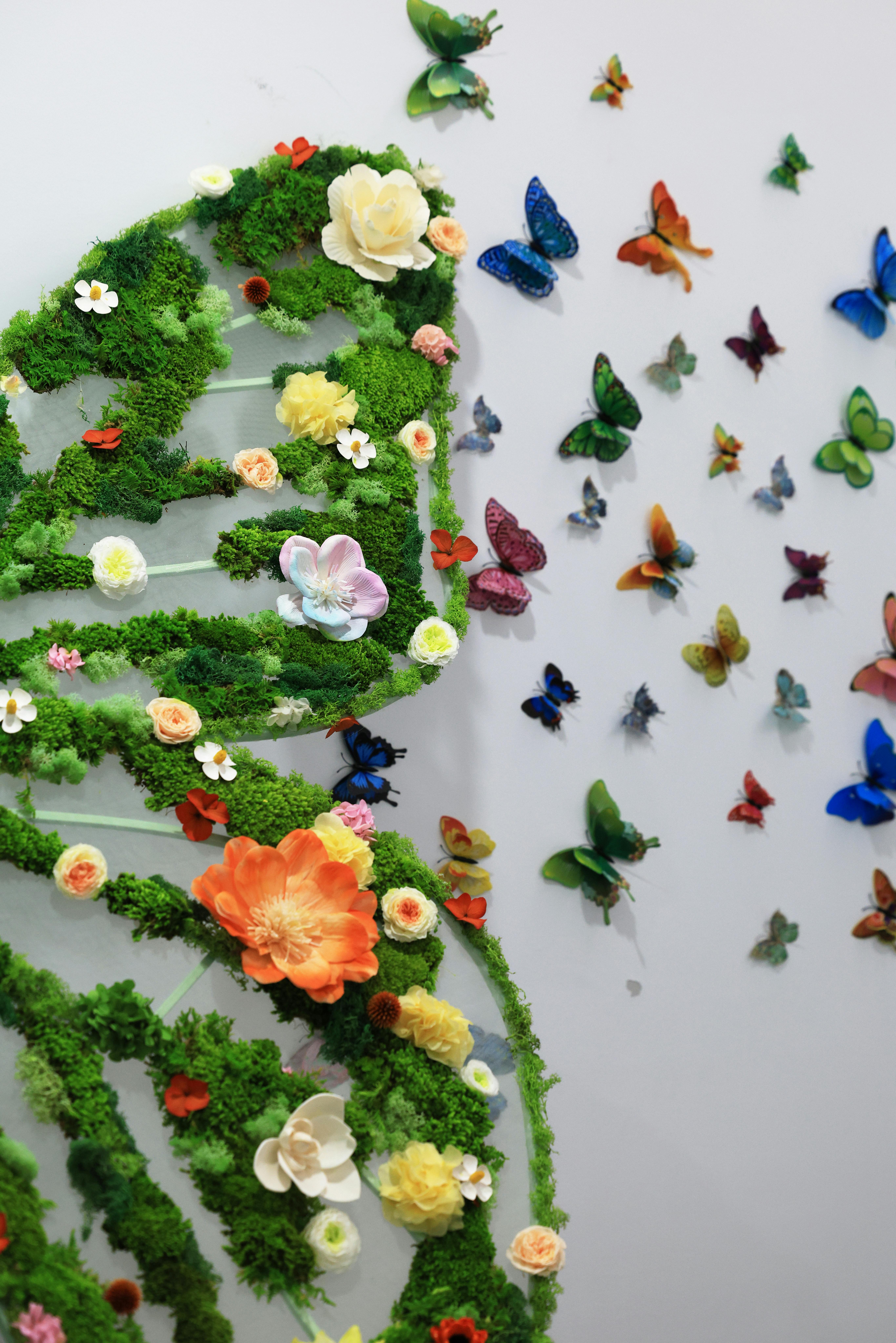 Genetics Photos, Download The BEST Free Genetics Stock Photos & HD Images