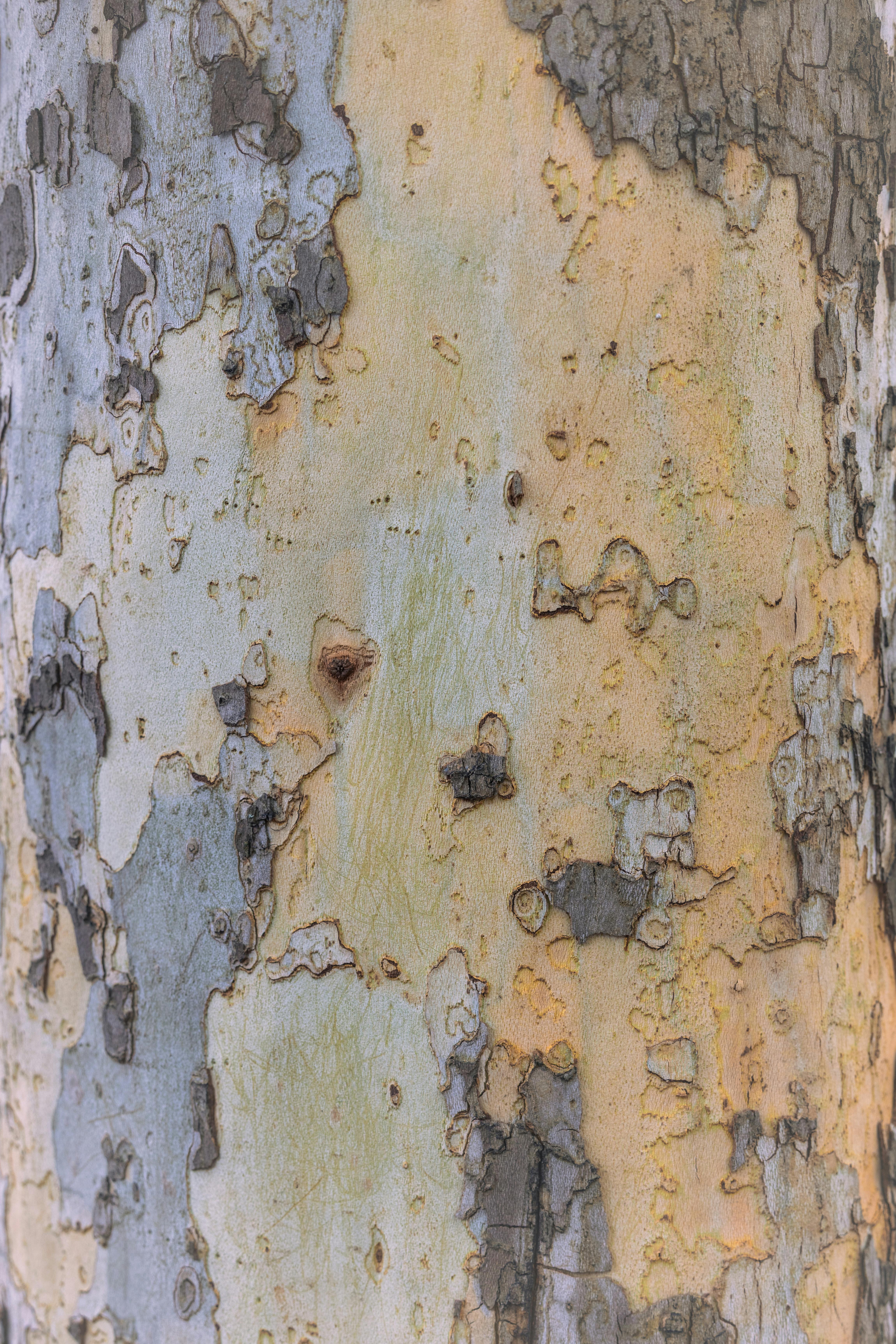 Hd Horse Running Wallpaper Photos, Download The BEST Free Hd Horse ...