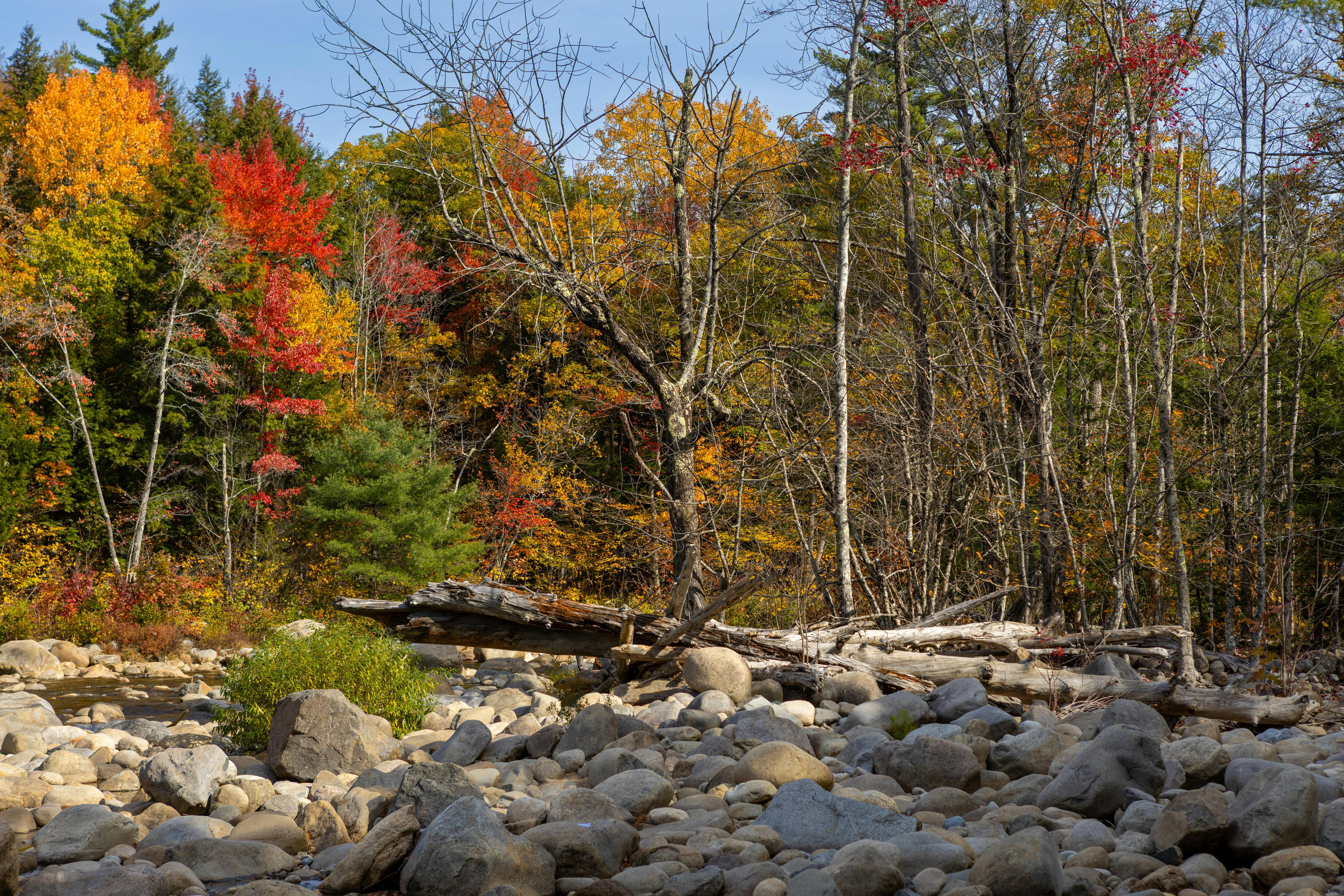 60.000+ ảnh đẹp nhất về Sarkari Naukri Hd Wallpaper · Tải xuống miễn ...