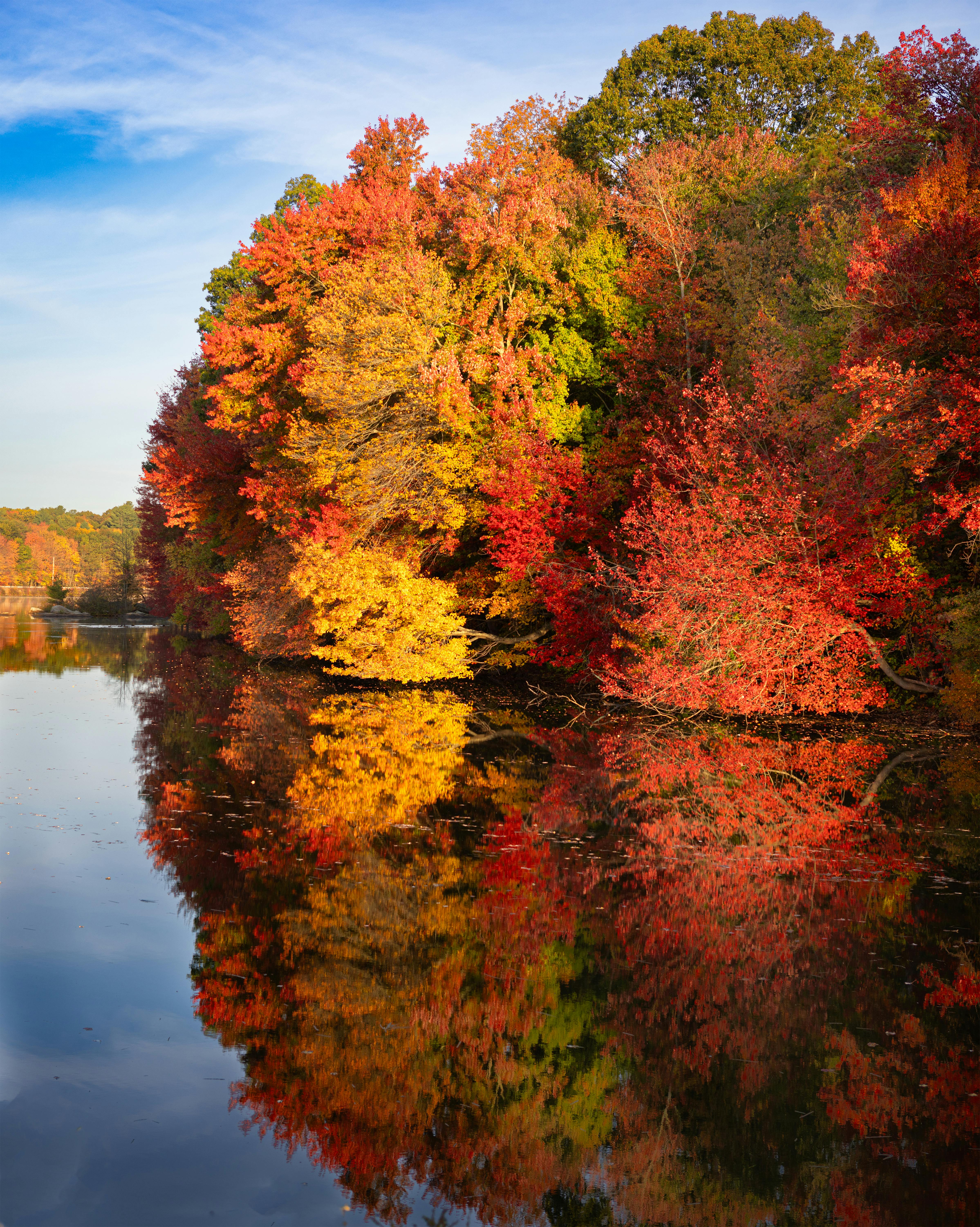 80.436+ Fotos y Imágenes de Tank 2026 hd wallpaper Gratis · Banco de ...