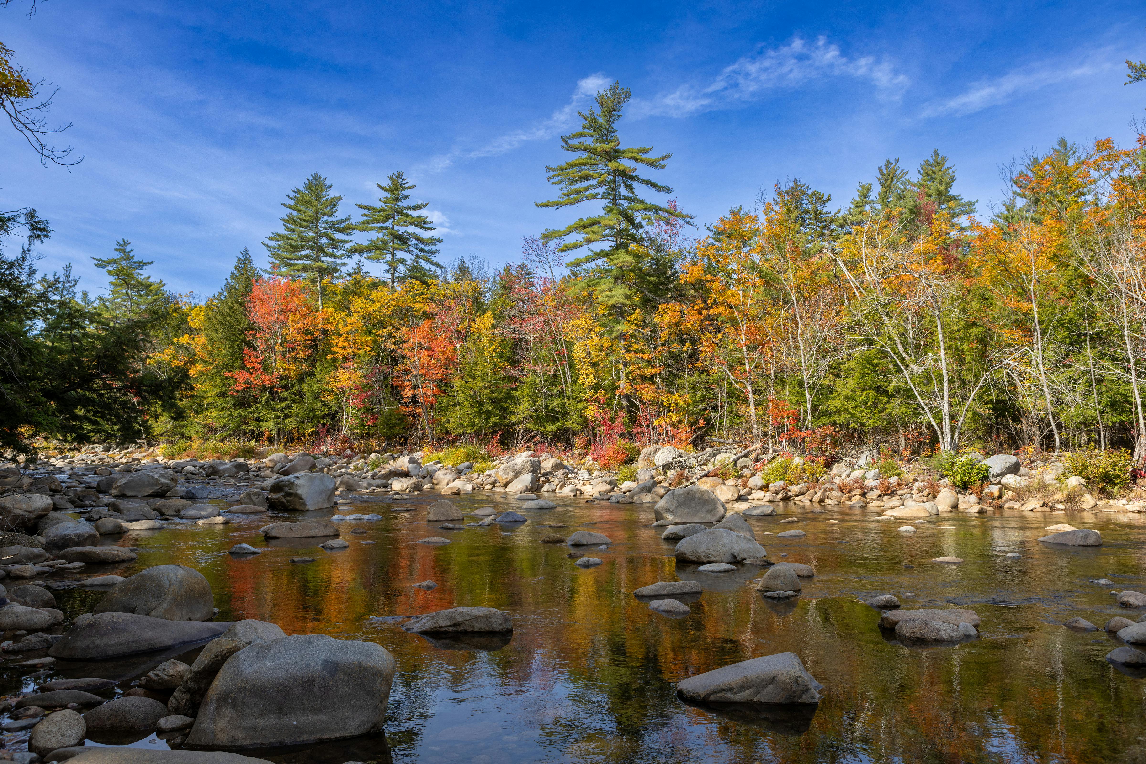 80.436+ Fotos y Imágenes de Tank 2026 hd wallpaper Gratis · Banco de ...