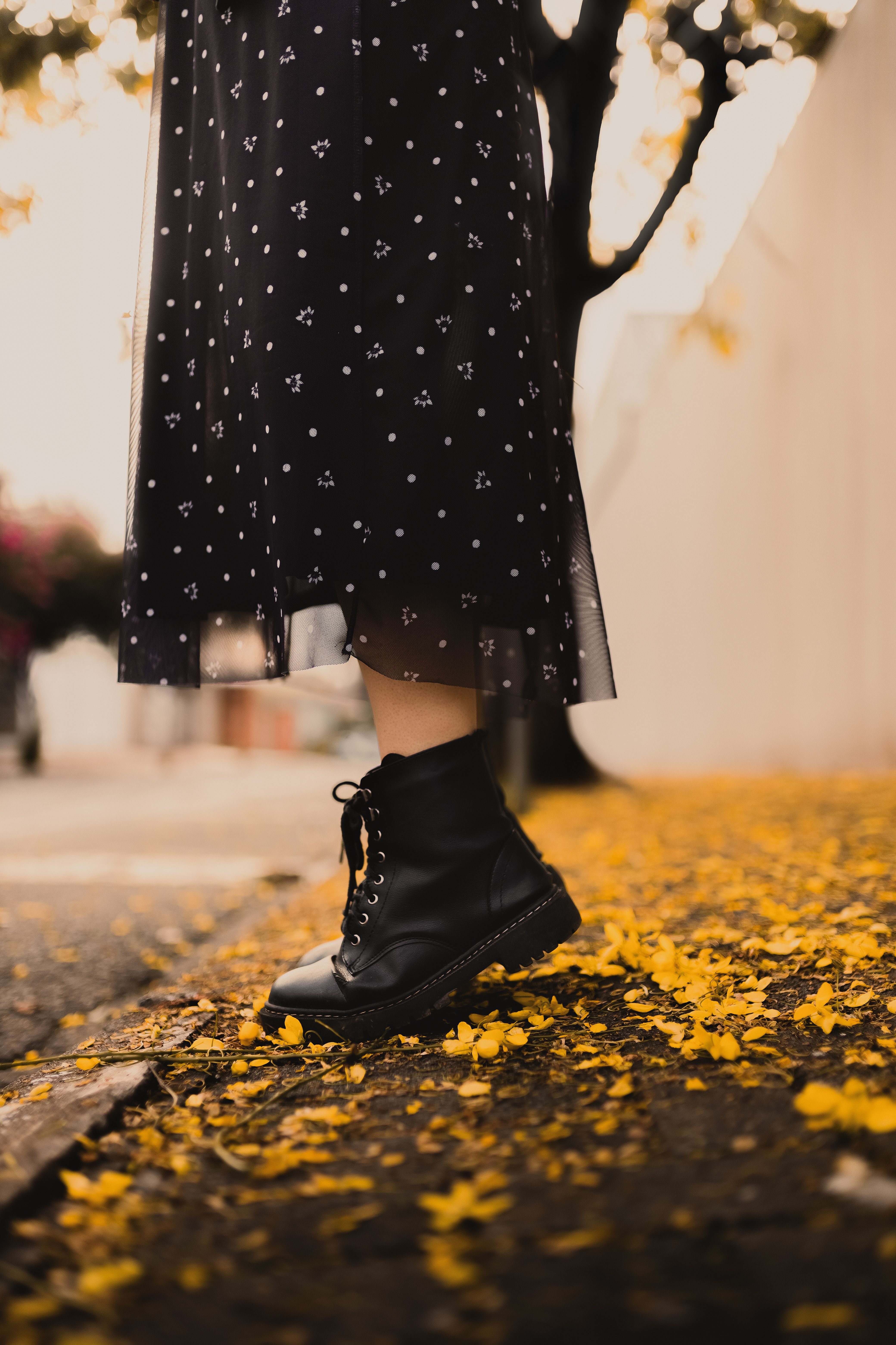 Autumn Shoes Photos, Download The BEST Free Autumn Shoes Stock Photos ...