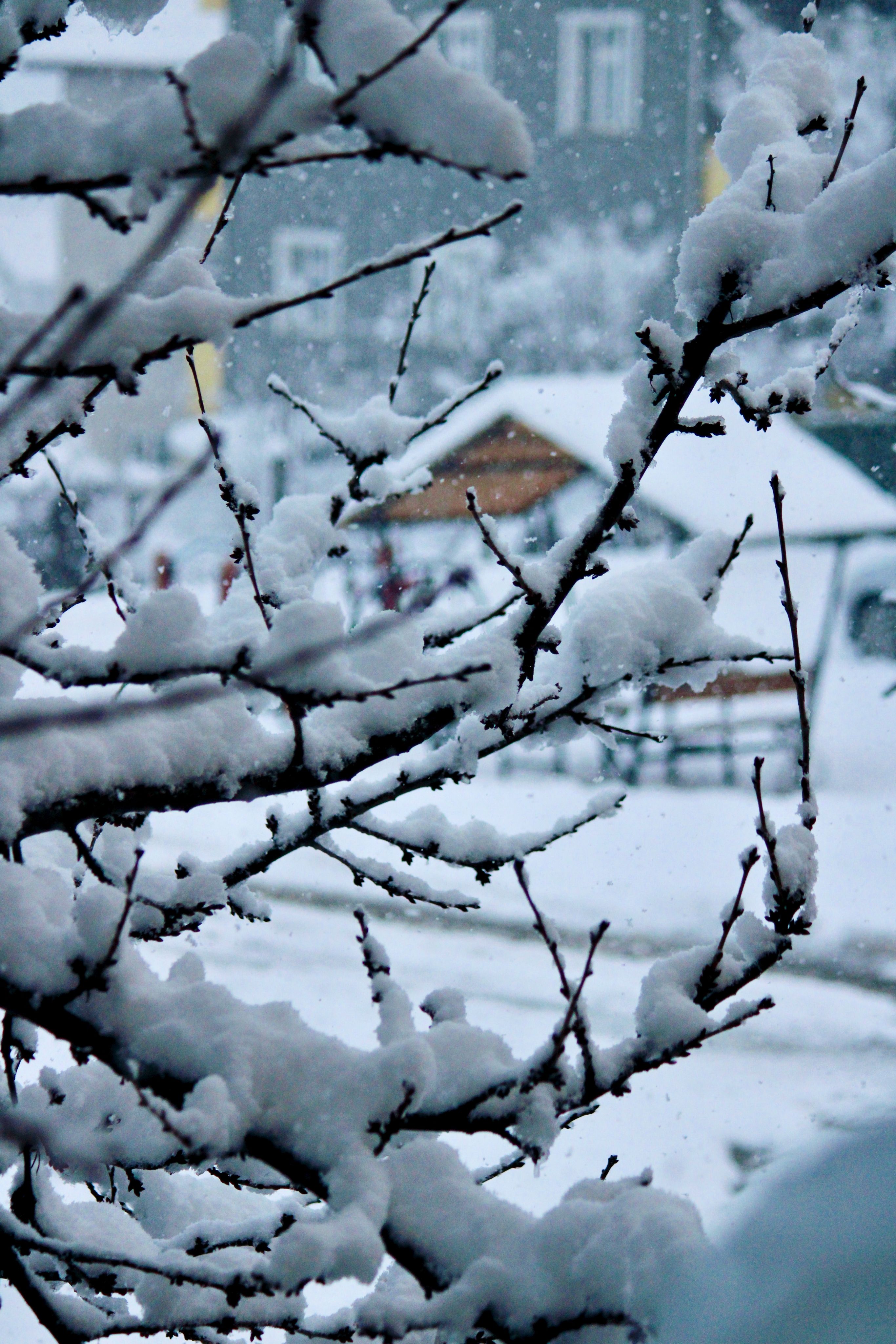 Teams Winter Background Photos, Download The BEST Free Teams Winter ...