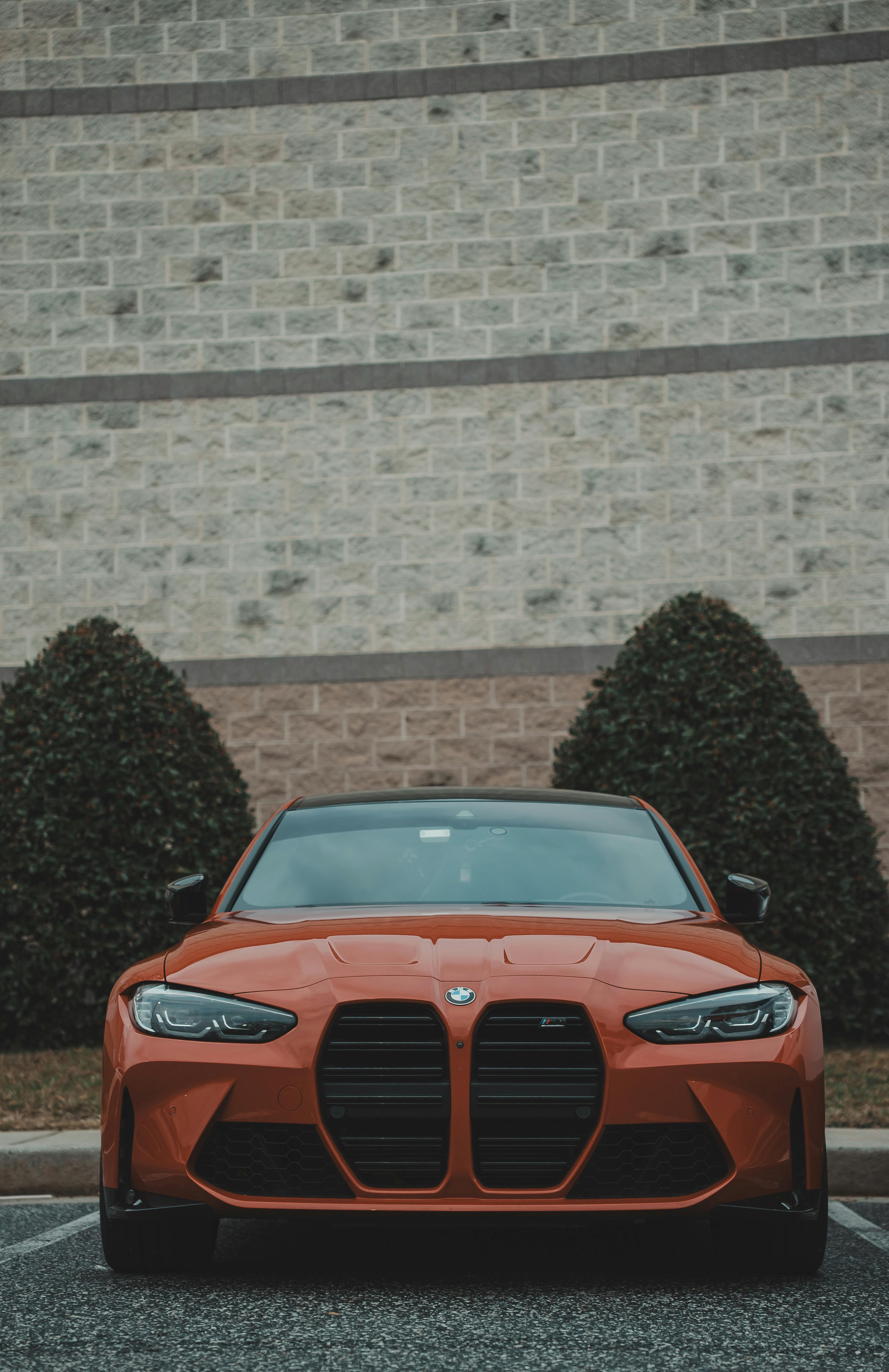 Fast+And+Delicious Photos, Download The BEST Free Fast+And+Delicious ...