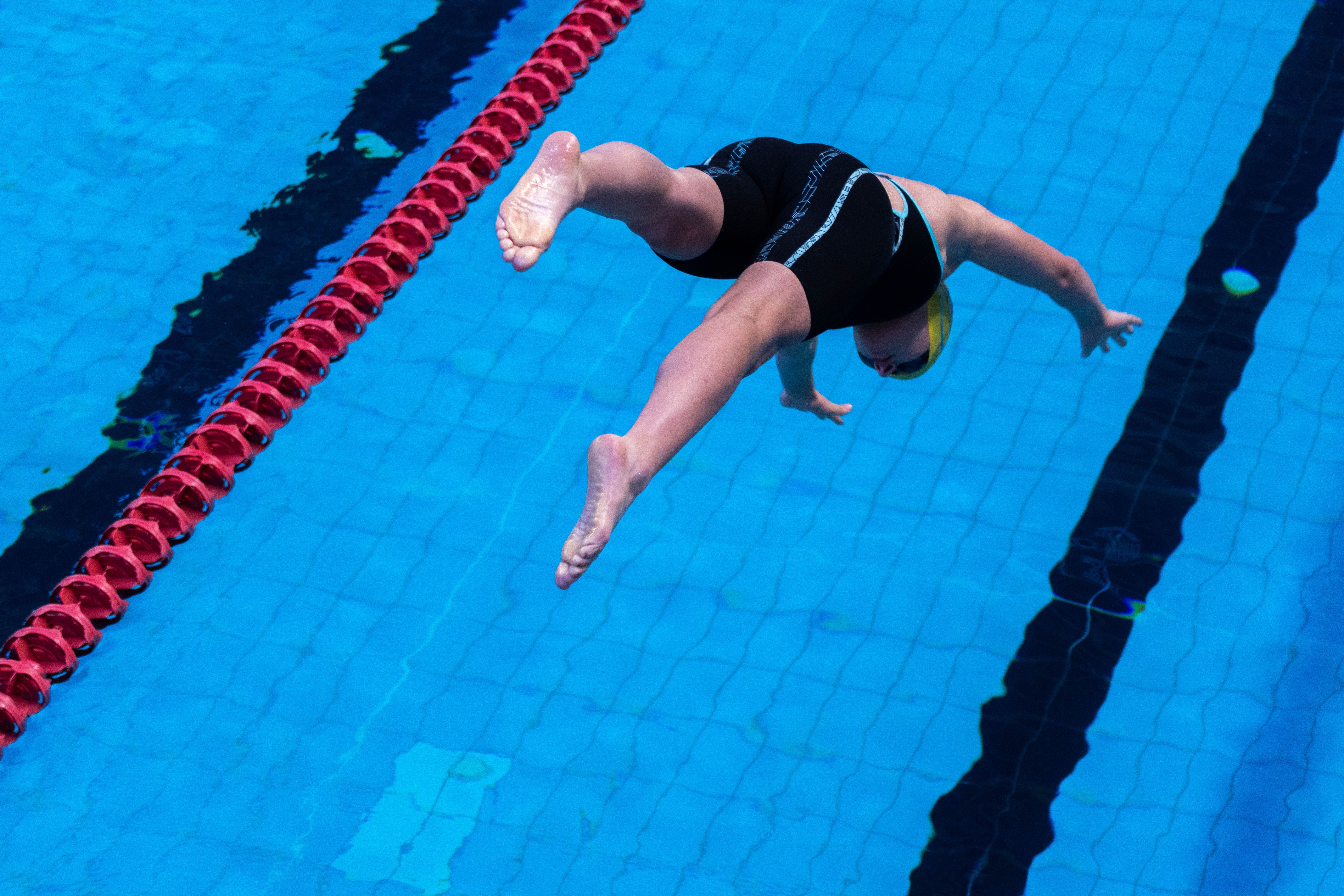 Professional Swimmer Diving into Pool · Free Stock Photo