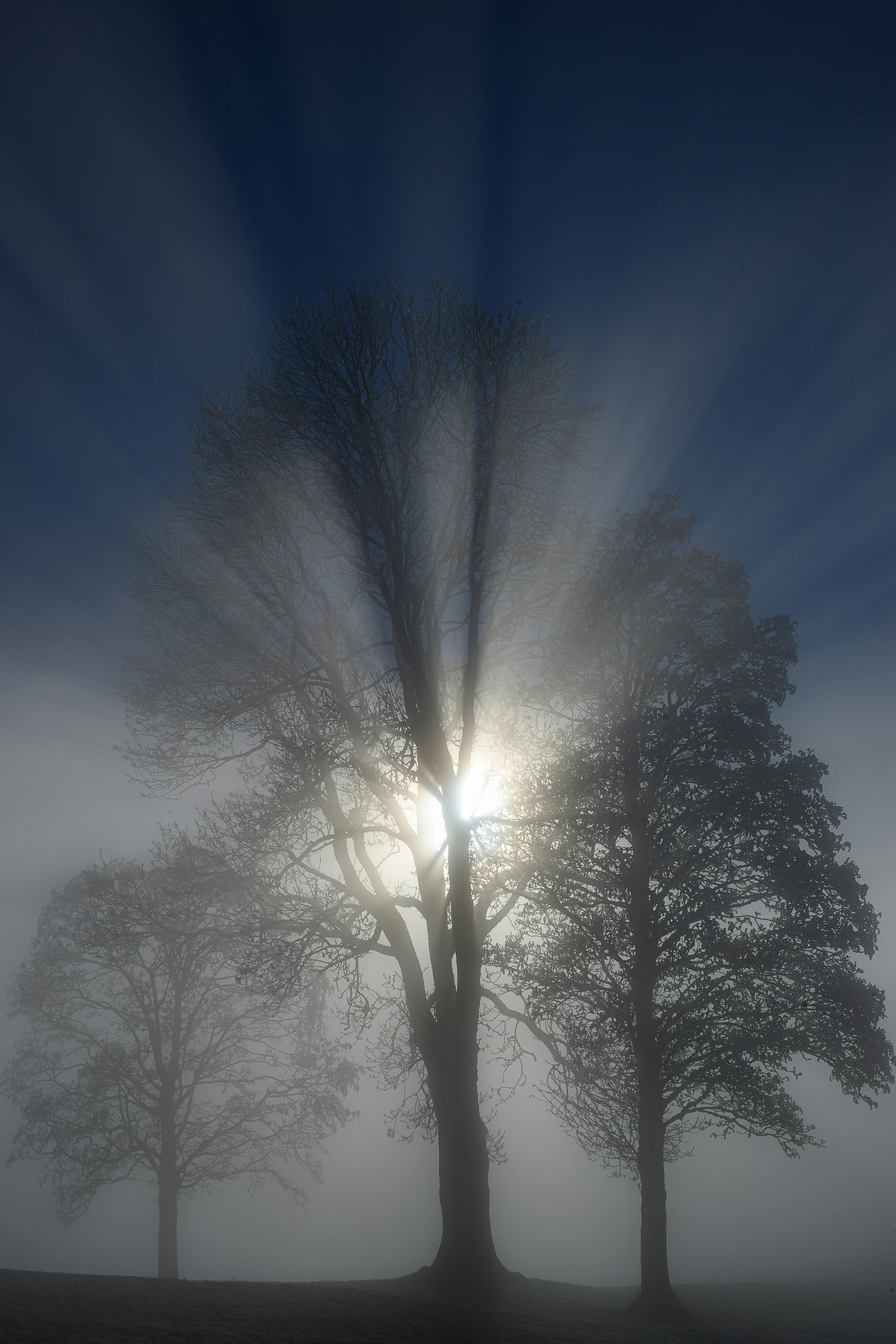 Imgsrcutie001 Im Photos, Download The BEST Free Imgsrcutie001 Im Stock ...