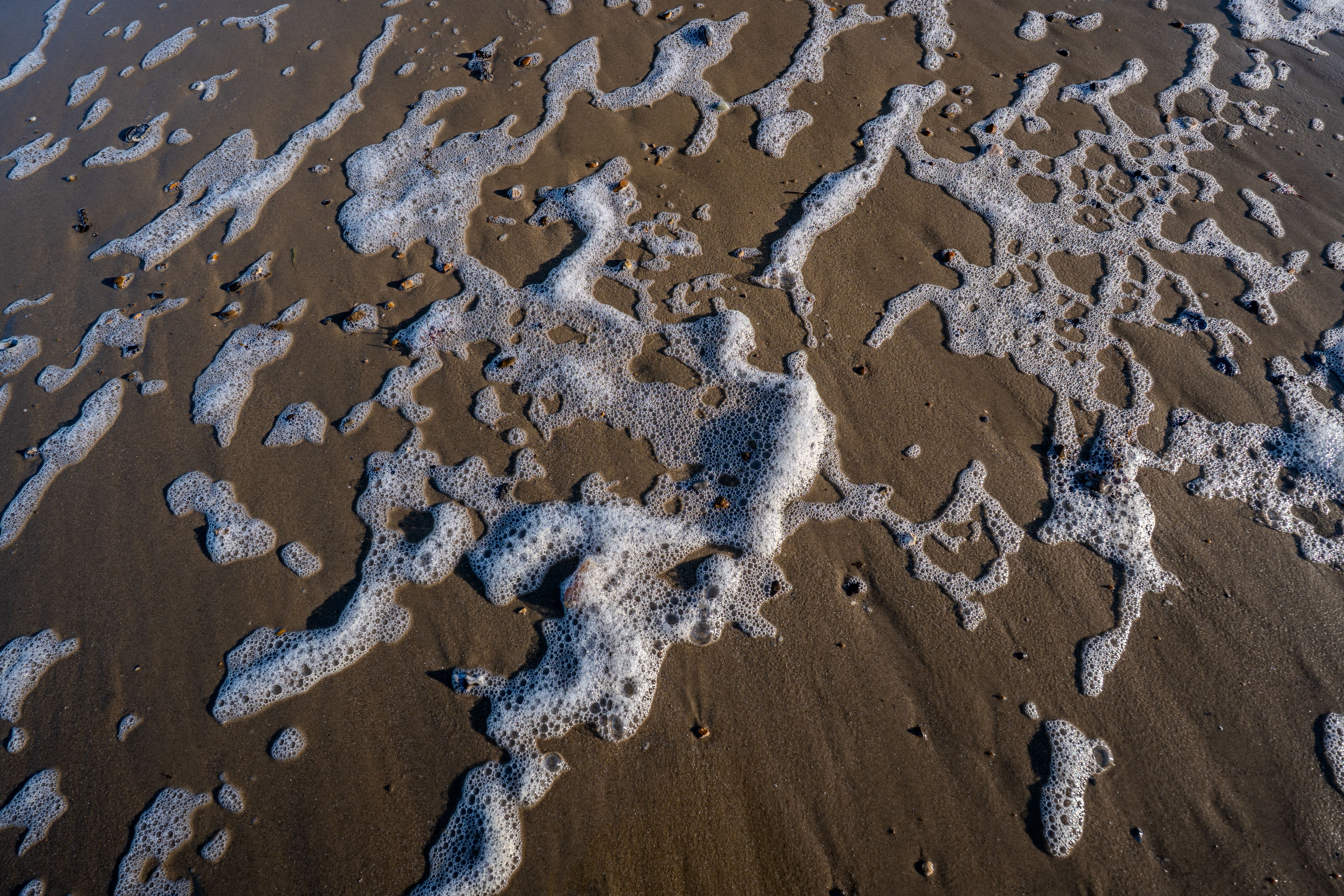 Beach Foam Photos, Download The BEST Free Beach Foam Stock Photos & HD ...