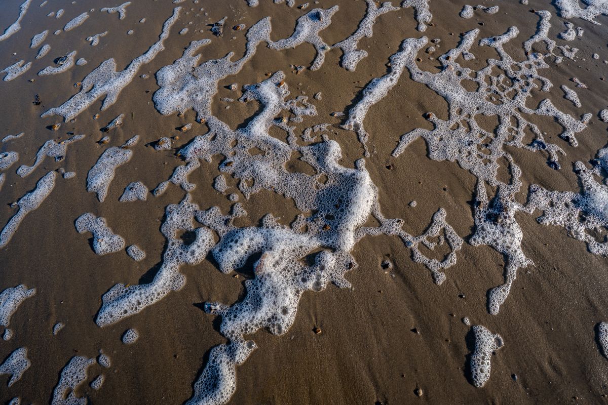 Beach Foam Photos, Download The BEST Free Beach Foam Stock Photos & HD ...